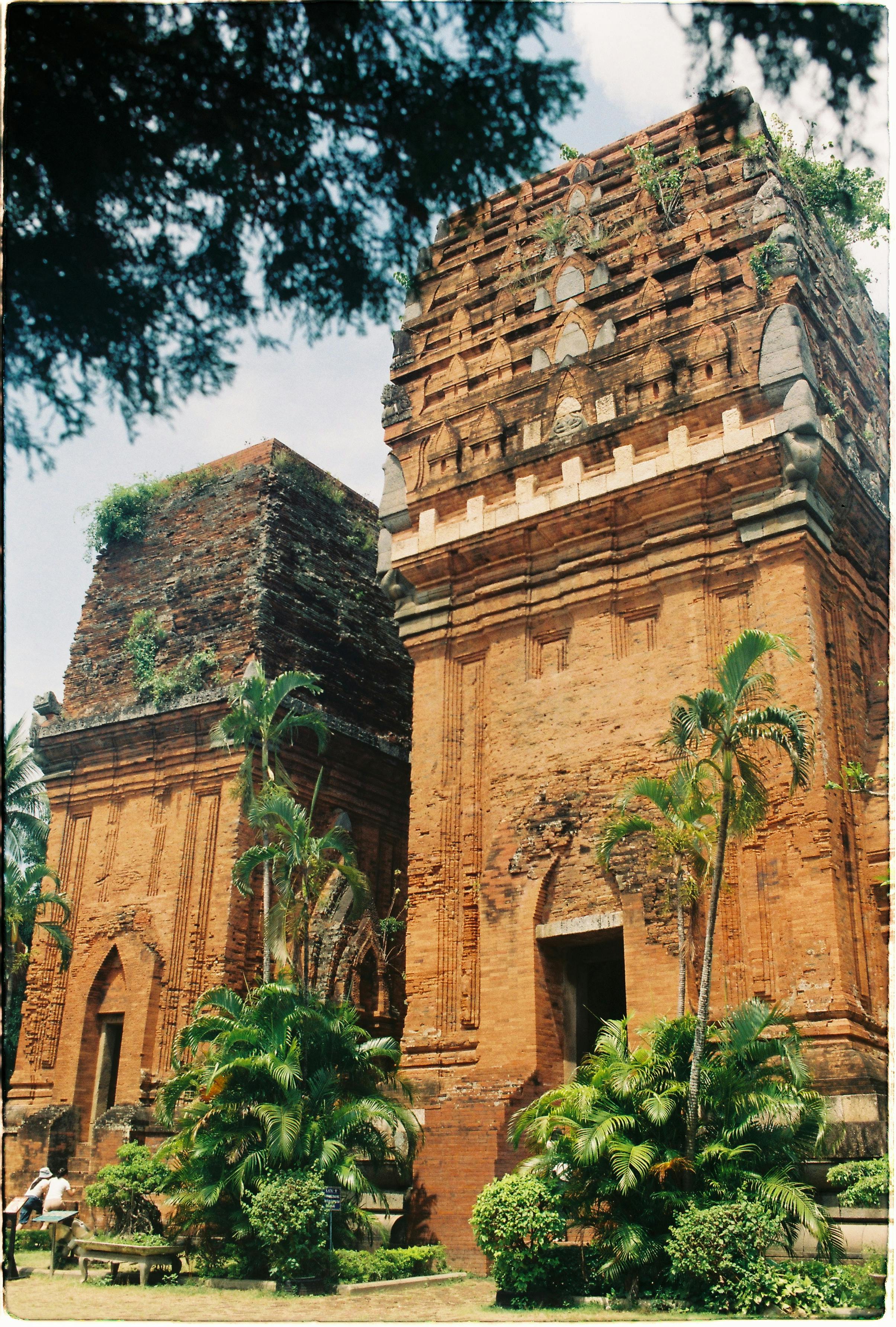 Tjata Champa Photos, Download The BEST Free Tjata Champa Stock Photos ...