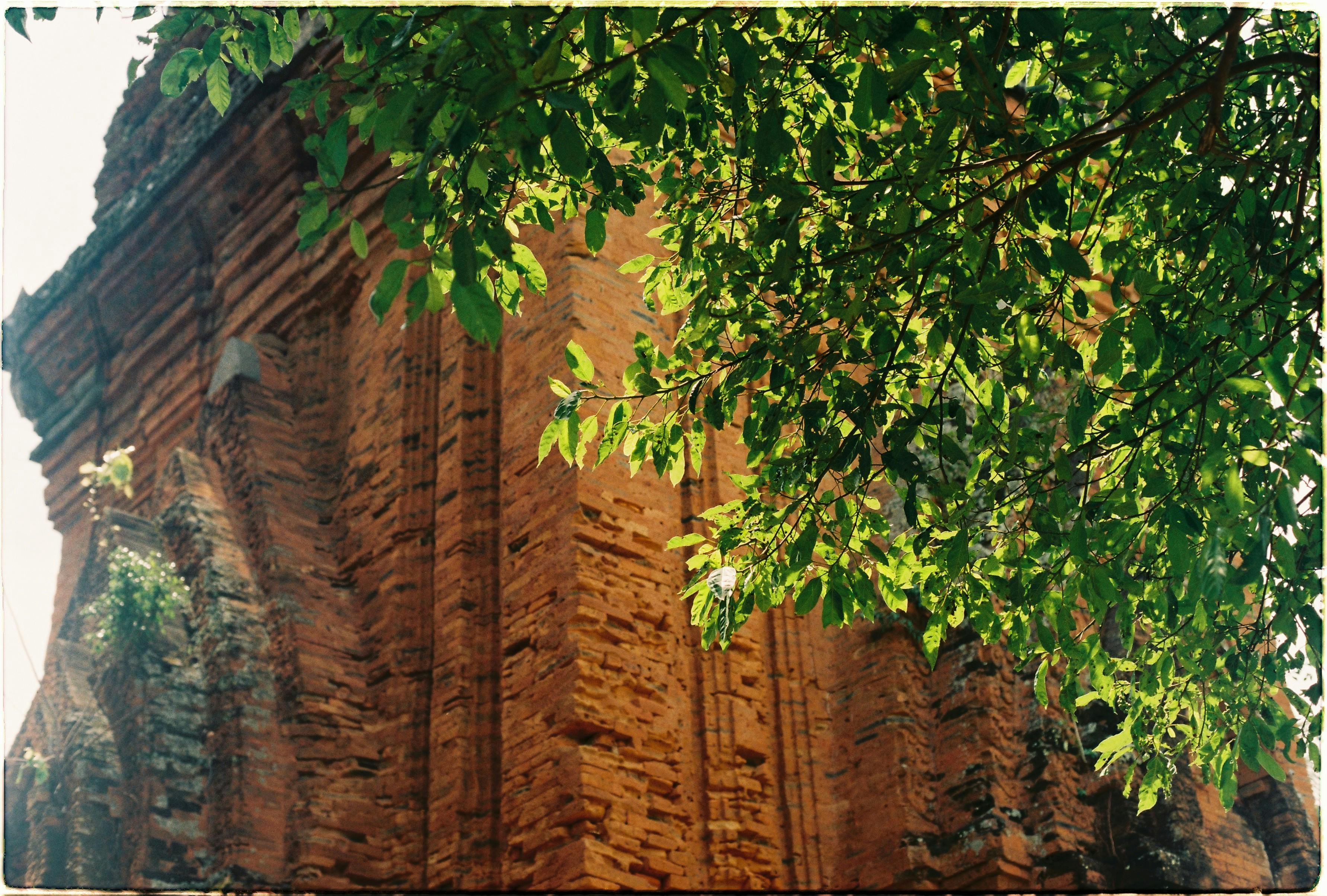 Robux Image Photos, Download The BEST Free Robux Image Stock Photos ...