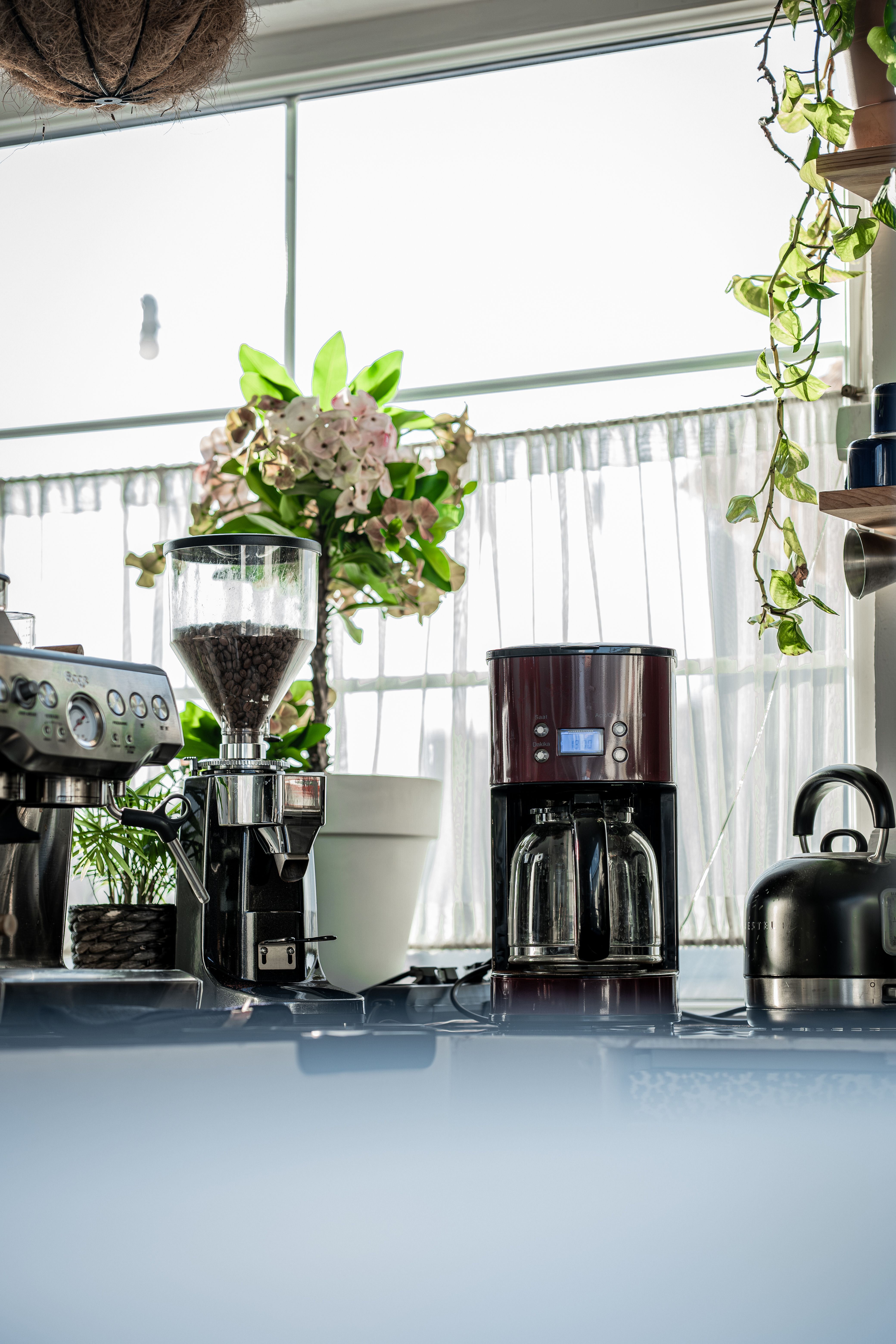 Java Desain Photos, Download The BEST Free Java Desain Stock Photos ...