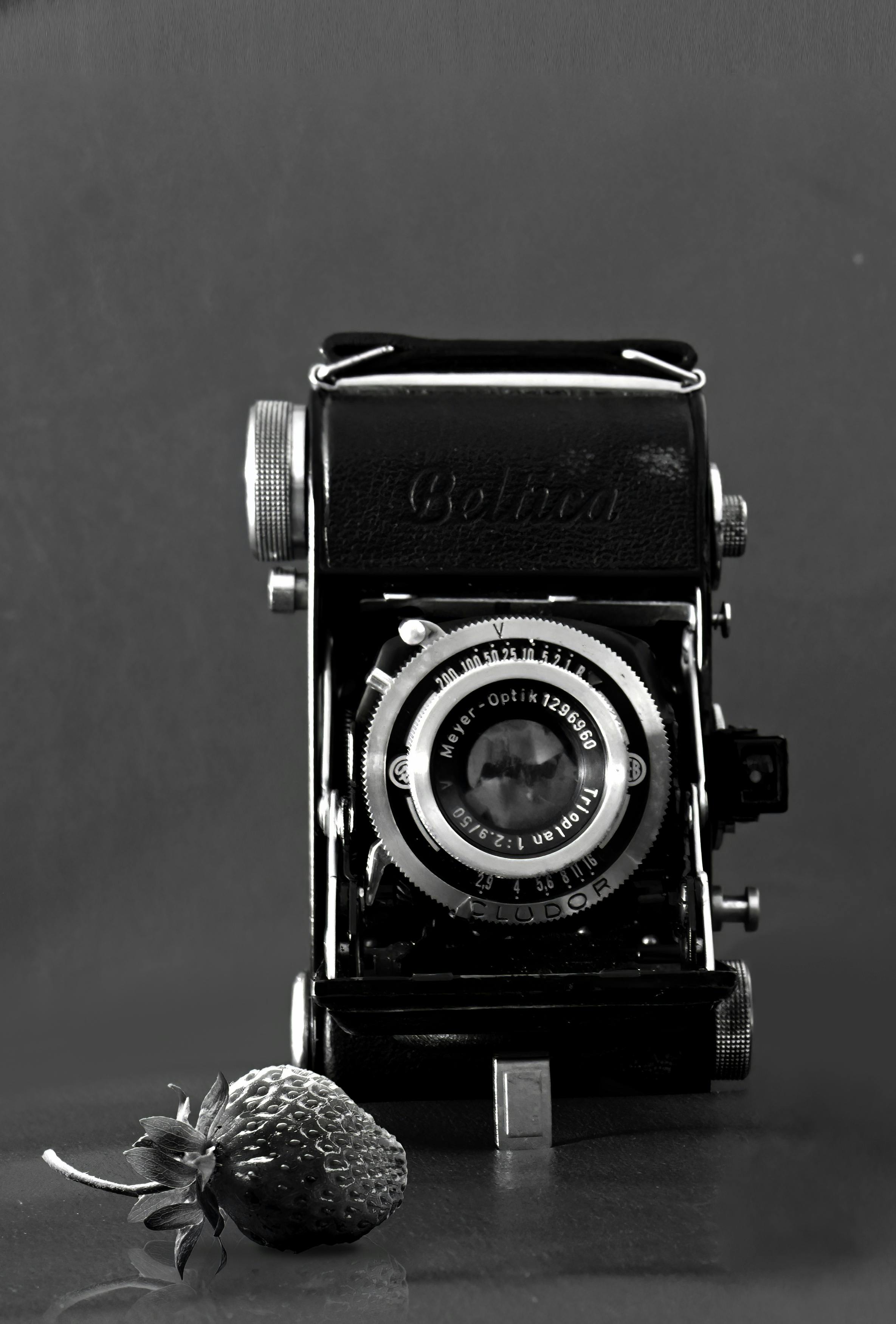 Máy ảnh Bellows Cổ điển Với Hình Quả Dâu Tây Màu đen Và Trắng · Ảnh có ...