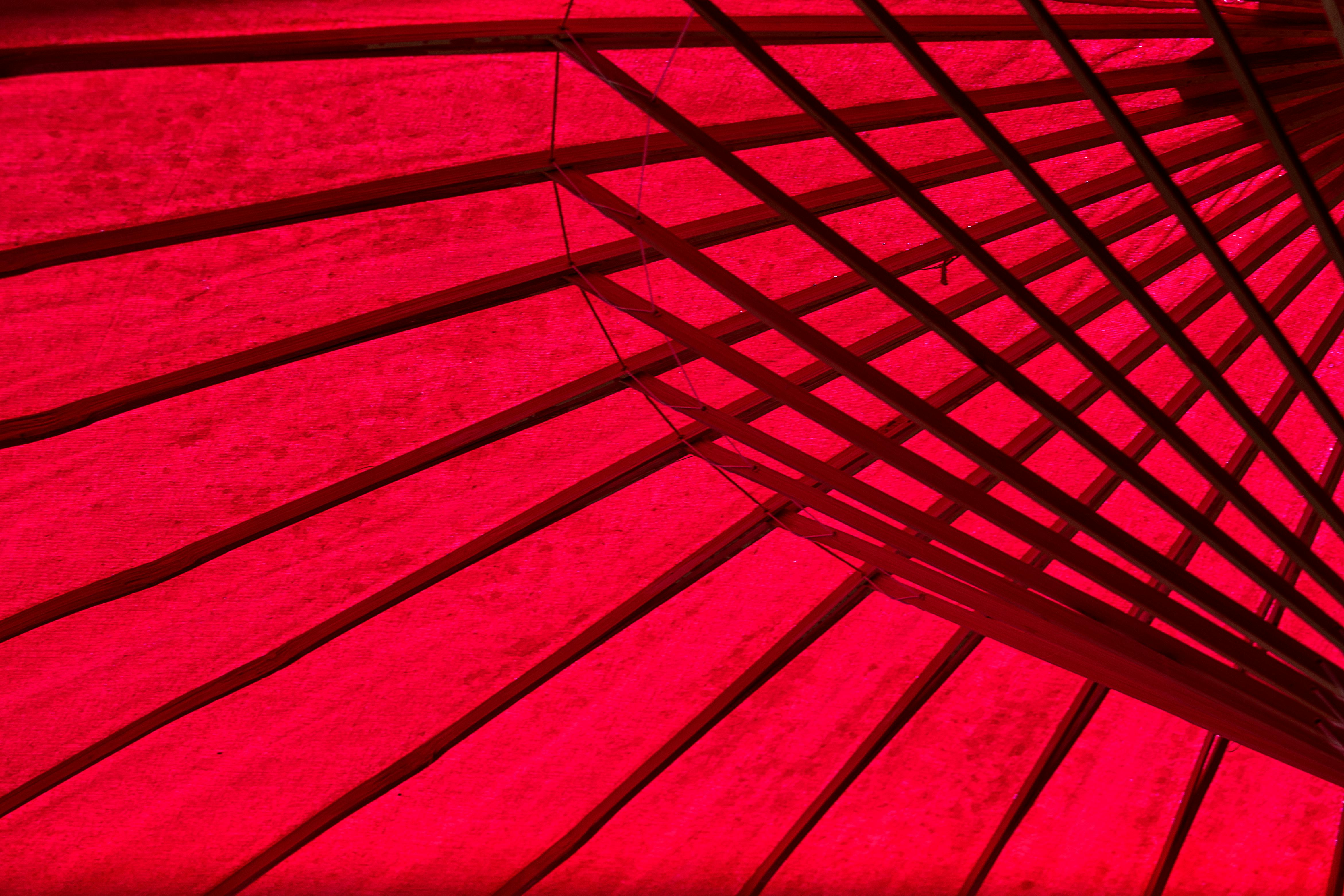 Trivia Background Photos, Download The BEST Free Trivia Background ...