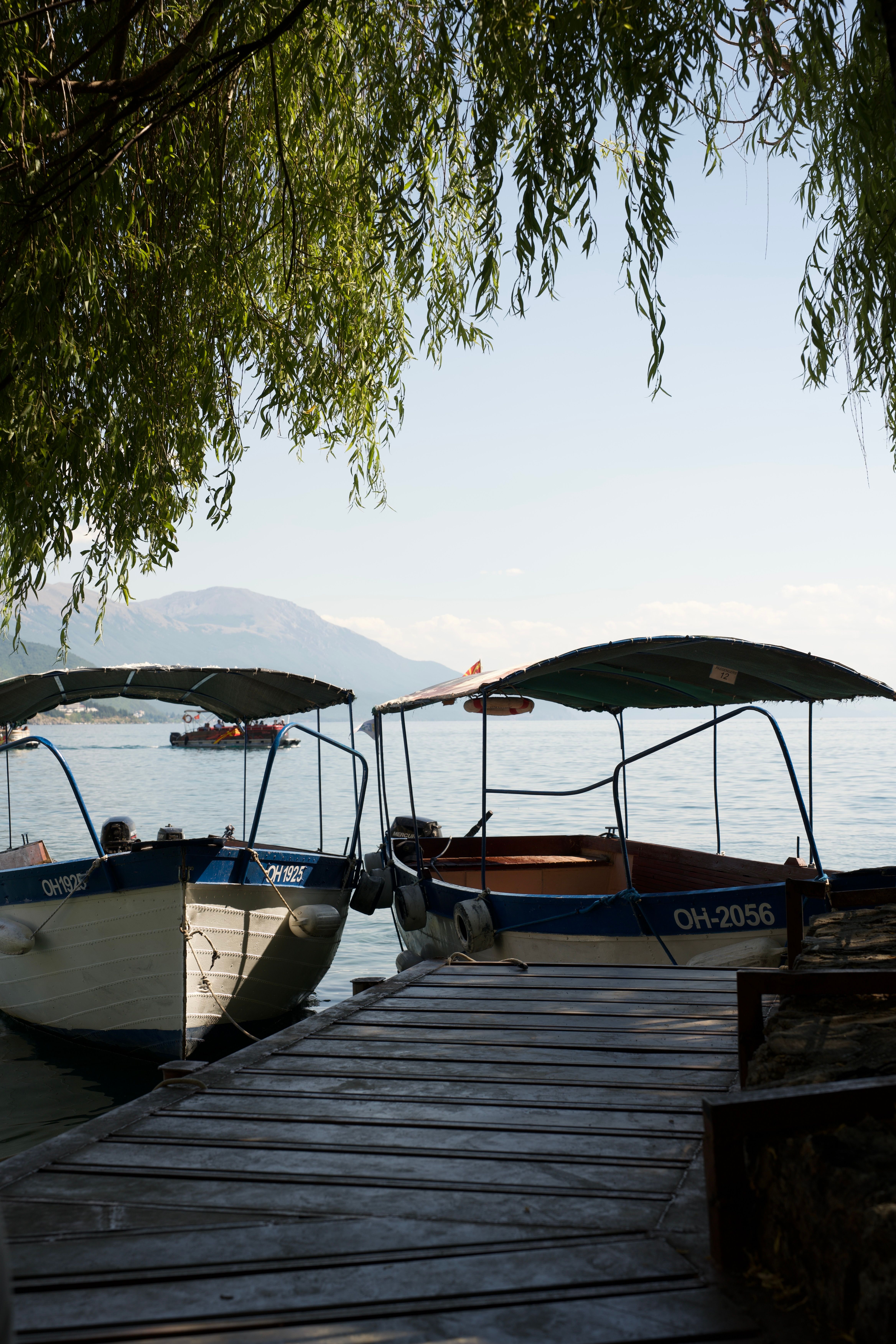 Scenic Lake with Boats Under Willow Trees · Free Stock Photo