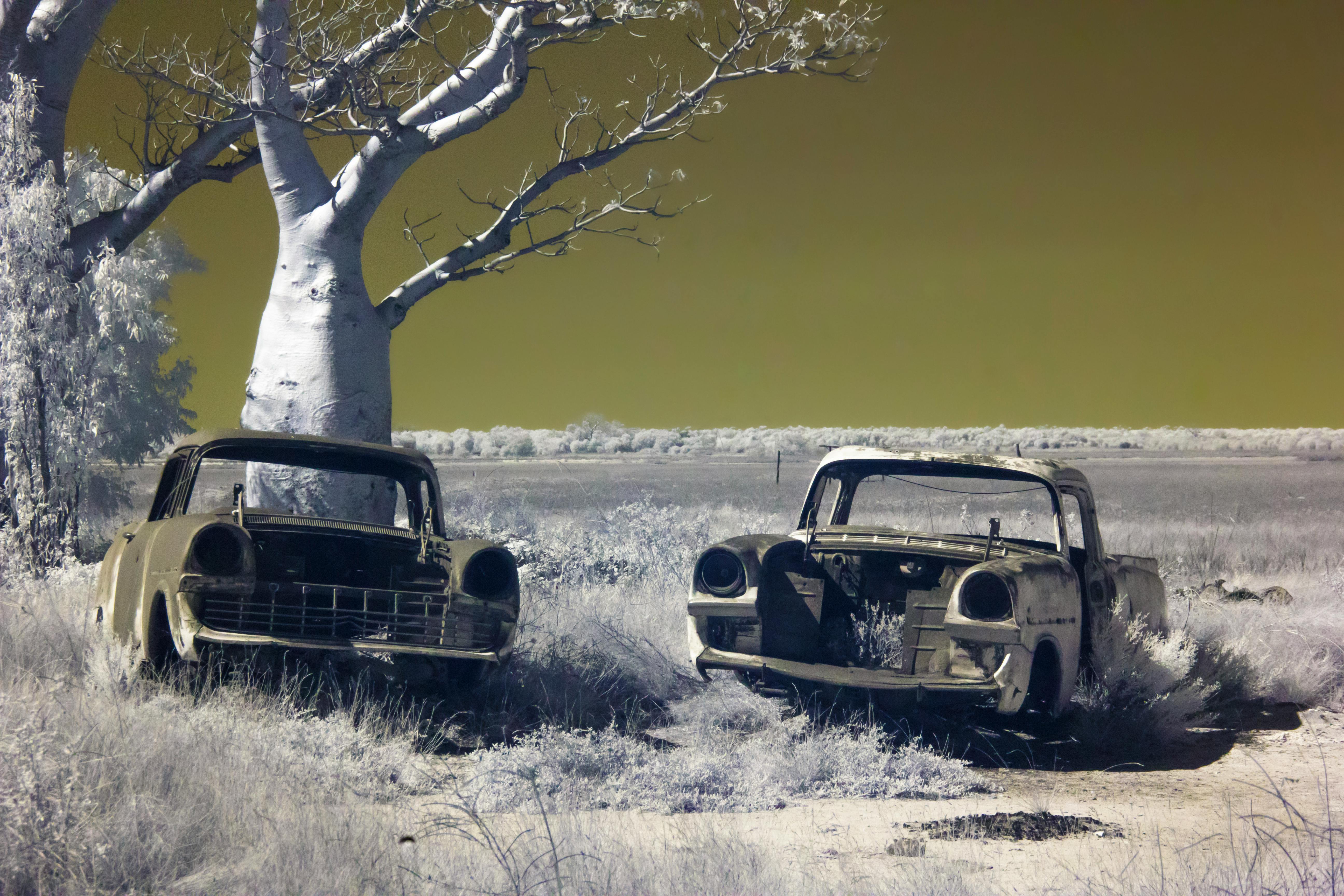 Infrared Artistry with Rusty Cars, Derby · Free Stock Photo