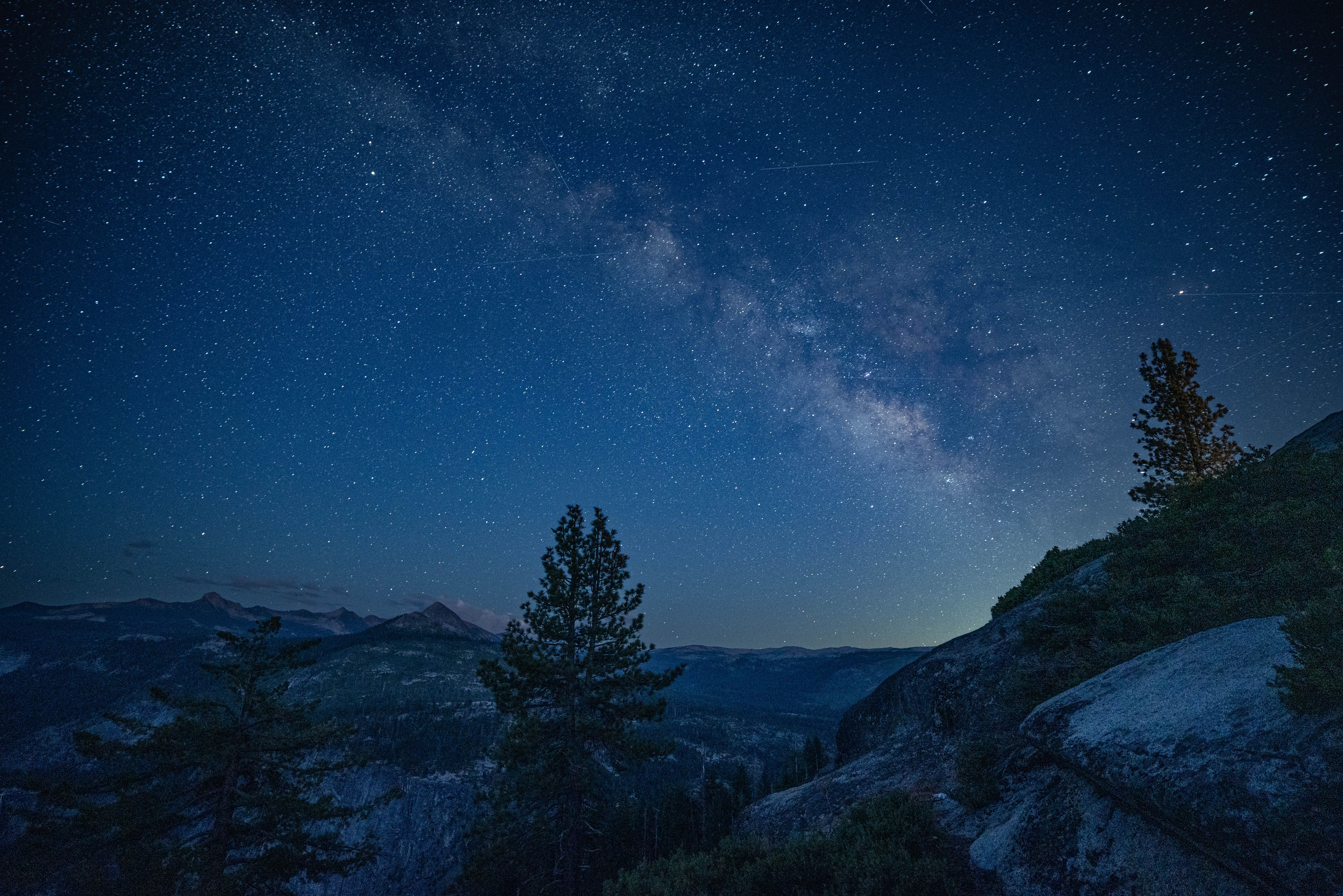 Stunning Night Sky with Milky Way Over Forest · Free Stock Photo