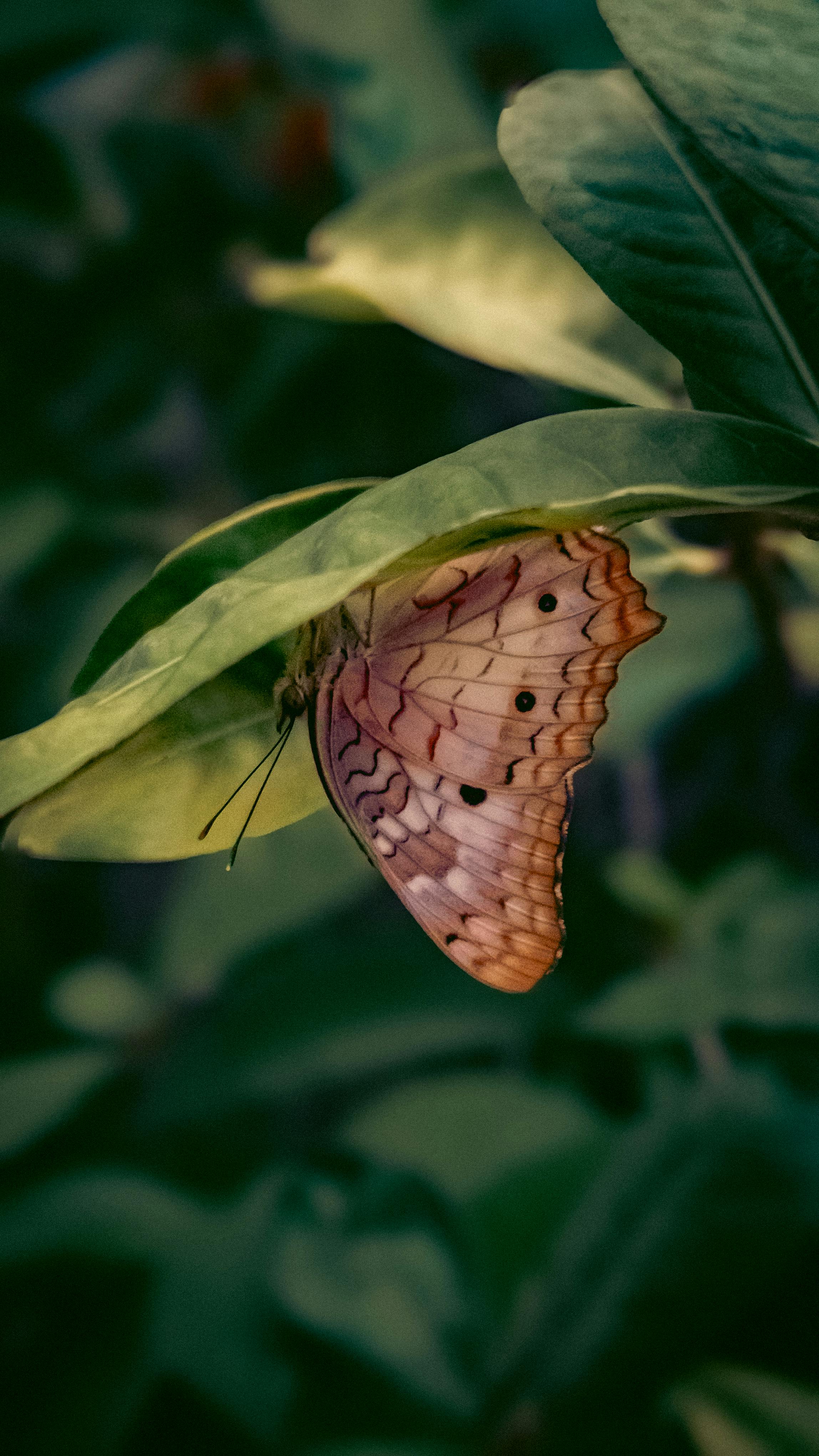 Spring Pastilles Colors Photos, Download The BEST Free Spring Pastilles ...