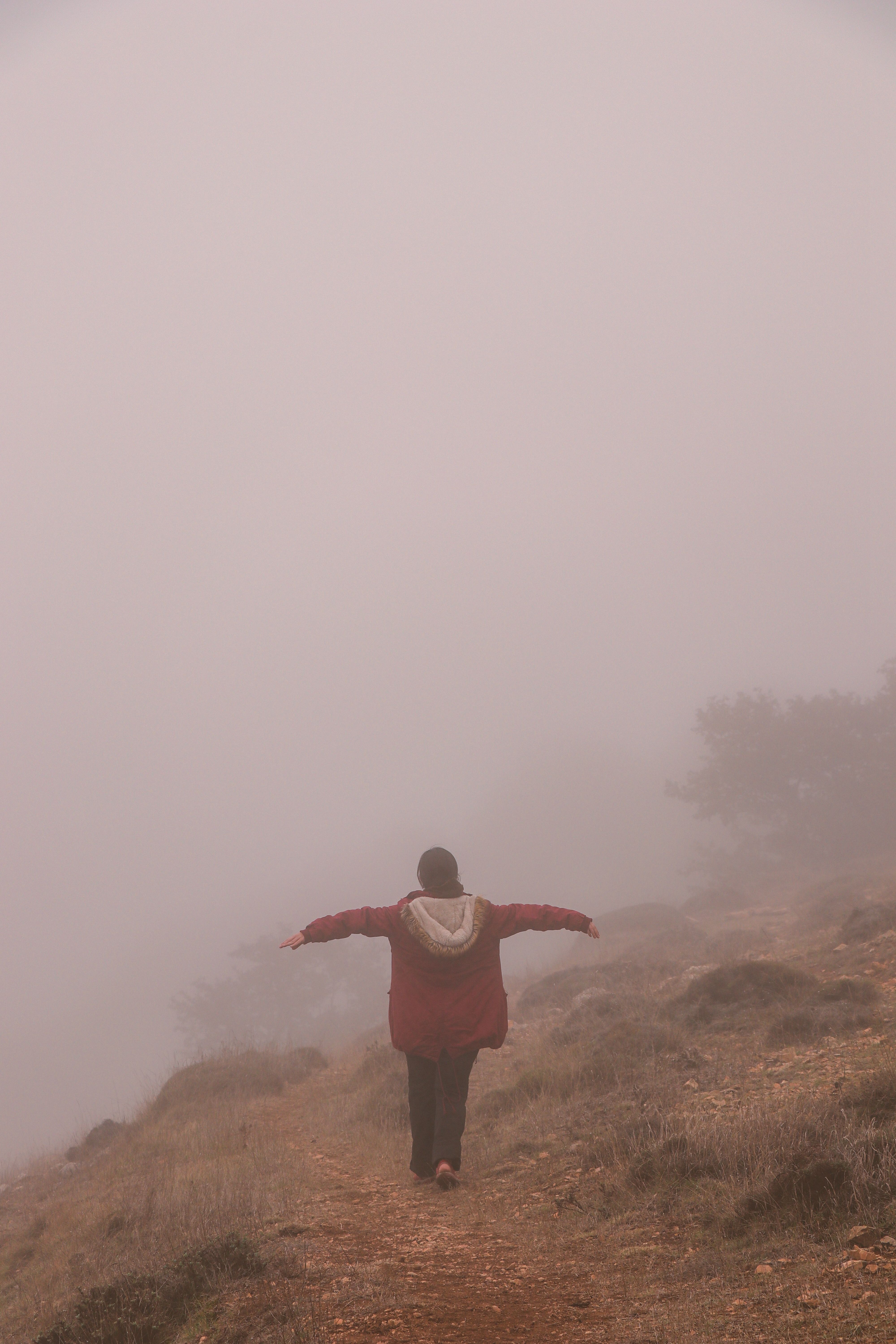 One Peace Photos, Download The BEST Free One Peace Stock Photos & HD Images