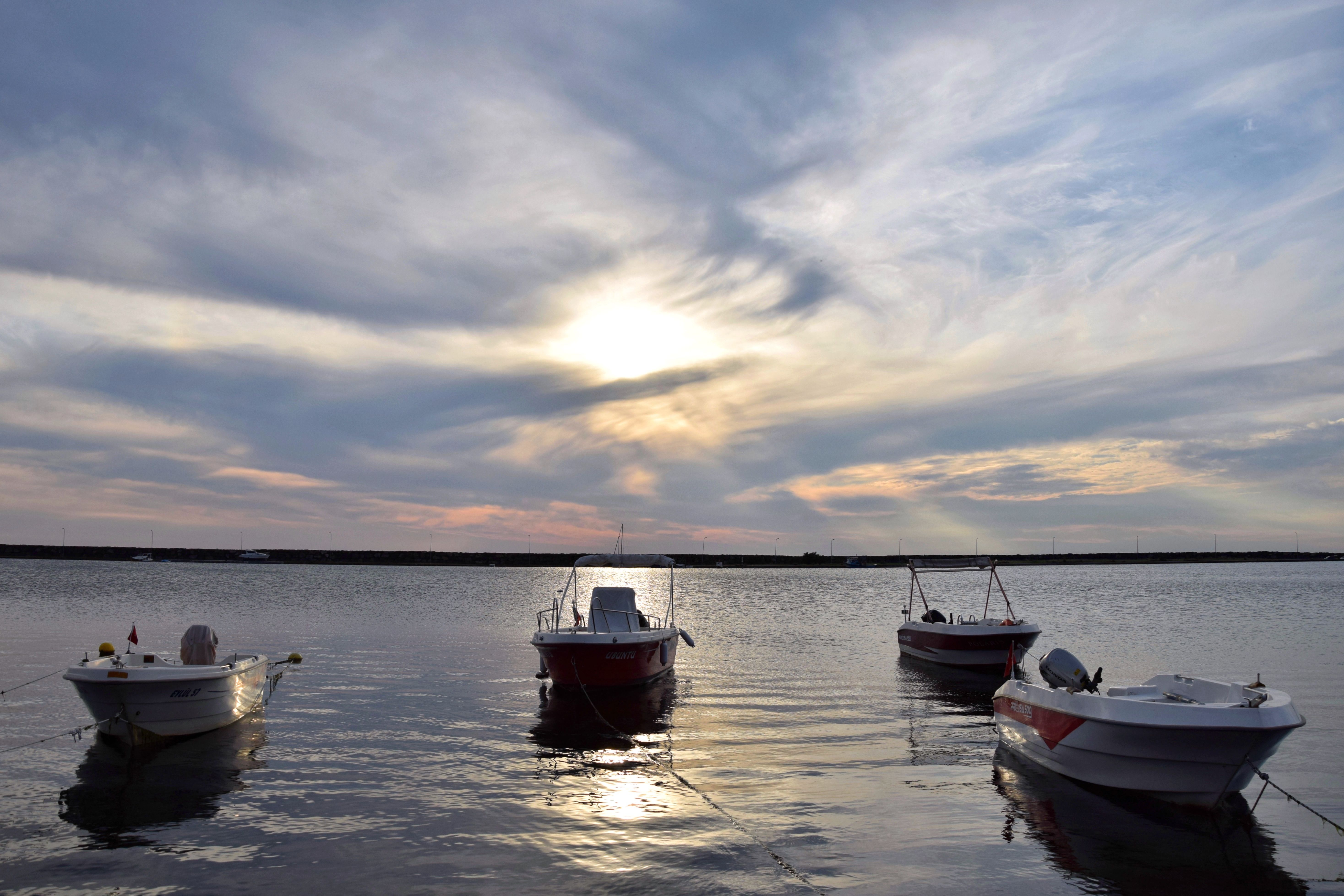 Three+Nat Photos, Download The BEST Free Three+Nat Stock Photos & HD Images