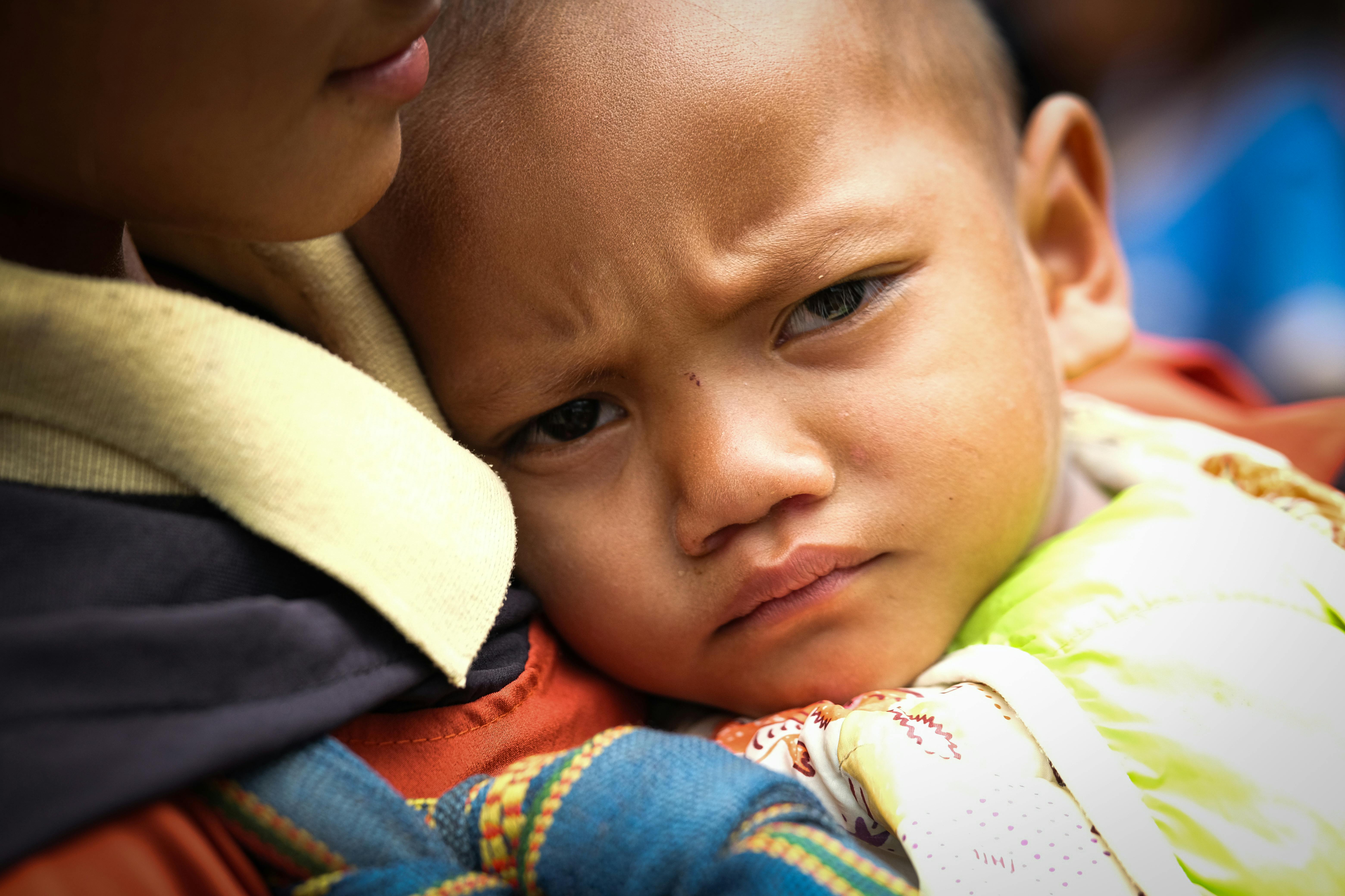 Nead Nurturing Photos, Download The BEST Free Nead Nurturing Stock ...