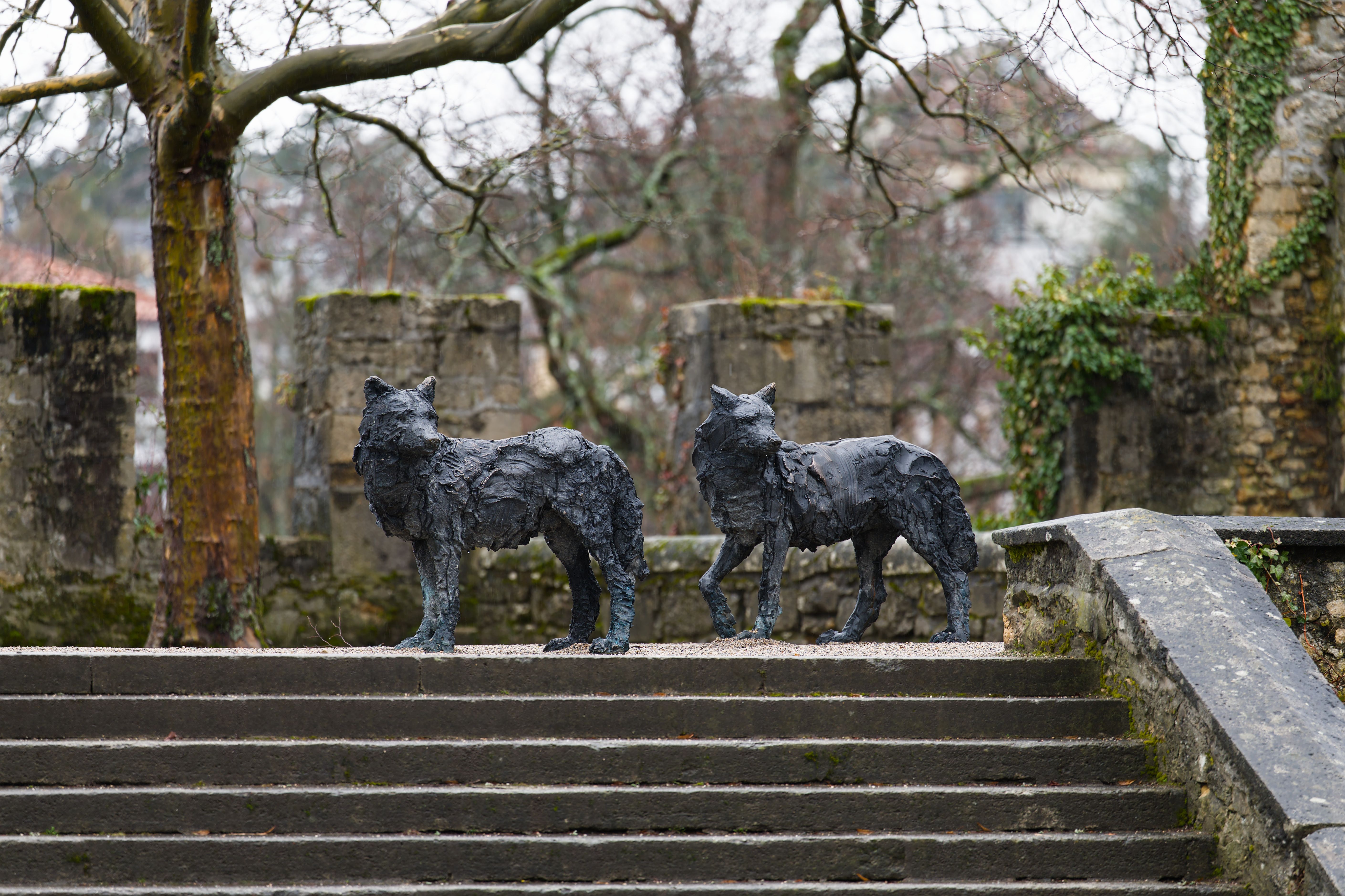 Wolf Statue Photos, Download The BEST Free Wolf Statue Stock Photos ...