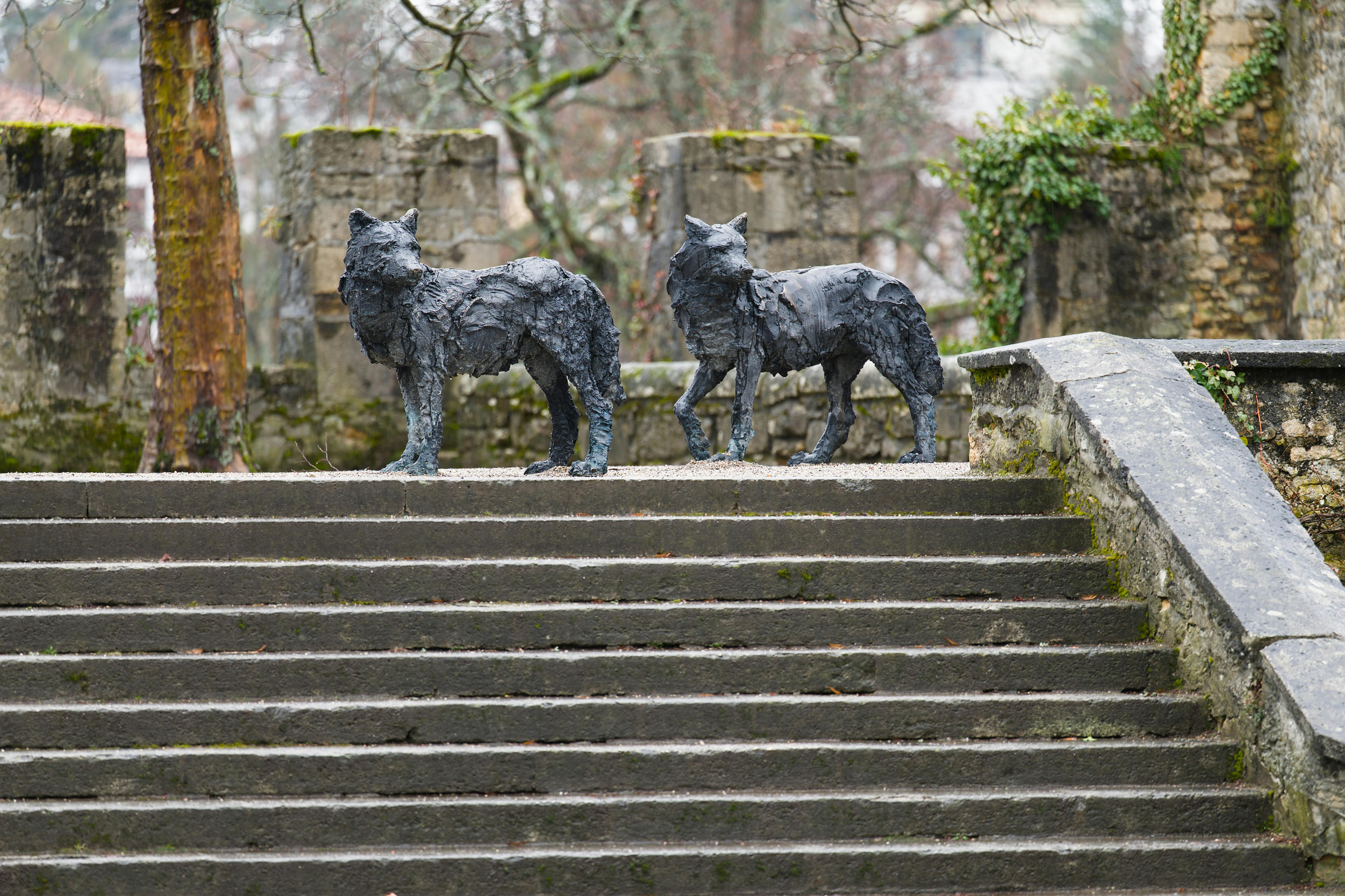 Wolf Walpaper Photos, Download The BEST Free Wolf Walpaper Stock Photos ...