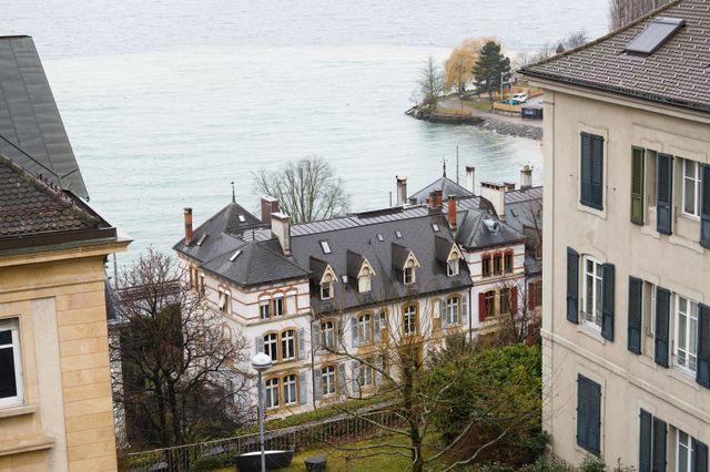 Swiss Design Websites: Evolution and Global Design Impact