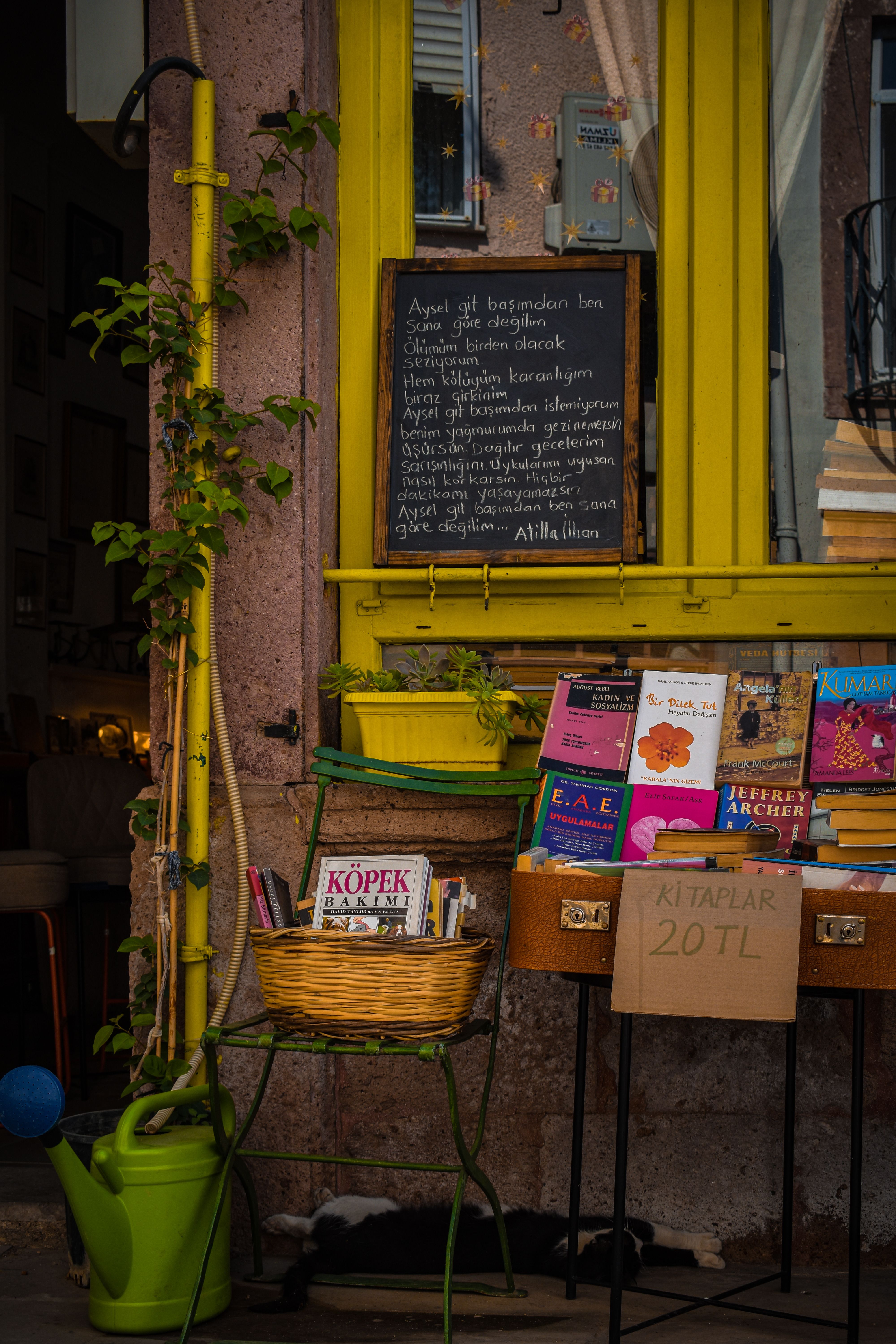 Charming Bookstore Display in Rustic Setting · Free Stock Photo