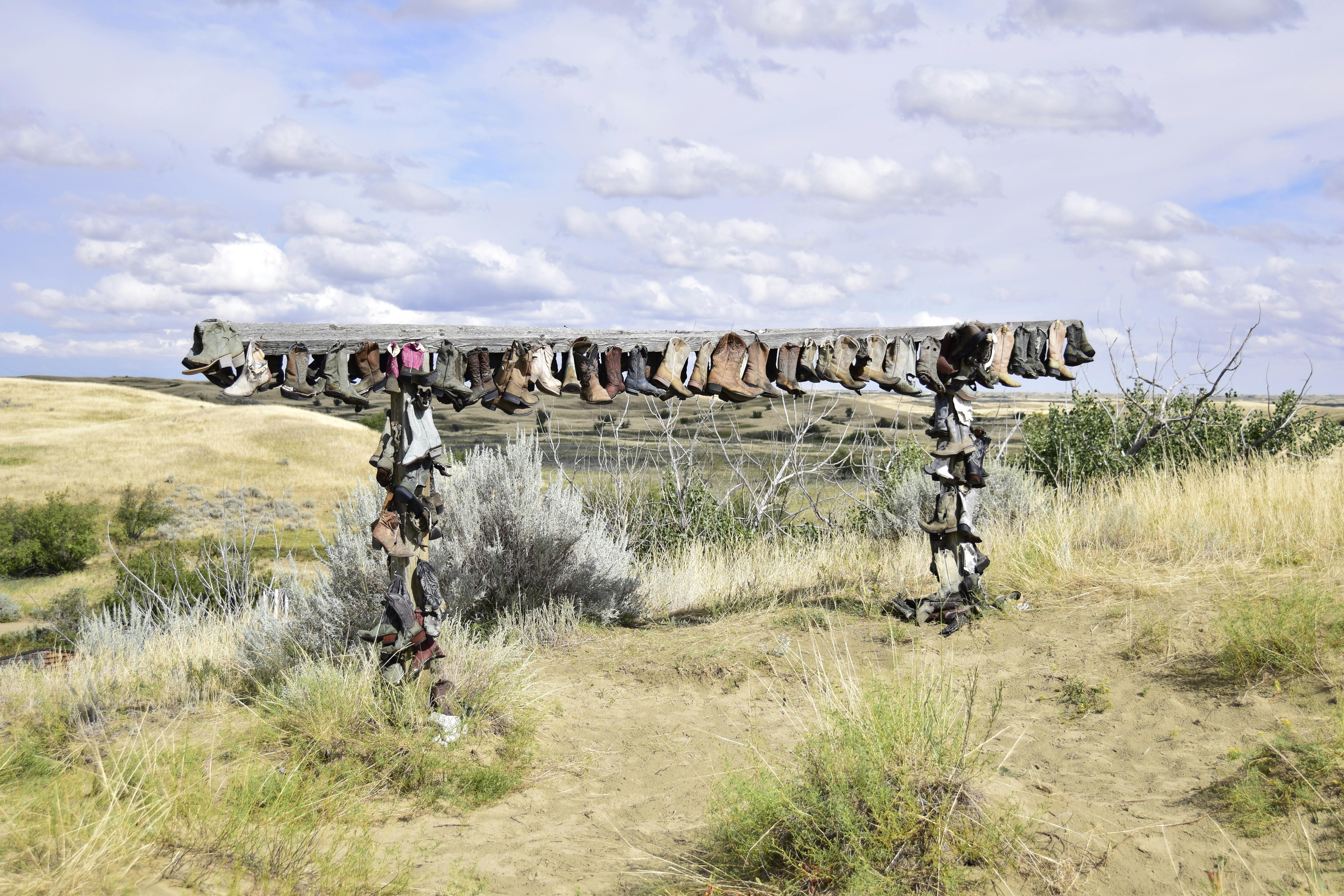 Prairi Photos, Download The BEST Free Prairi Stock Photos & HD Images