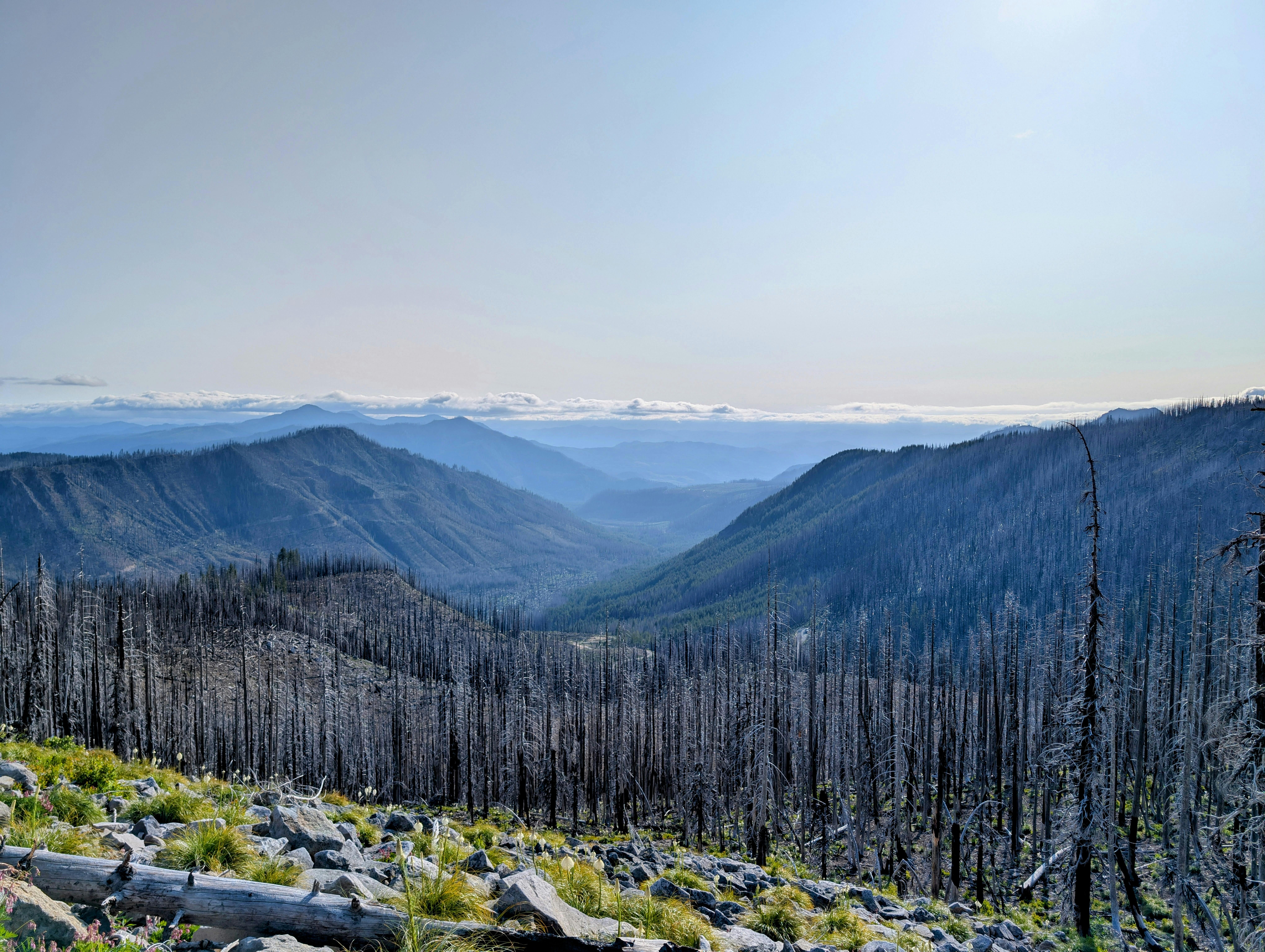 Wereld Strata Photos, Download The BEST Free Wereld Strata Stock Photos ...