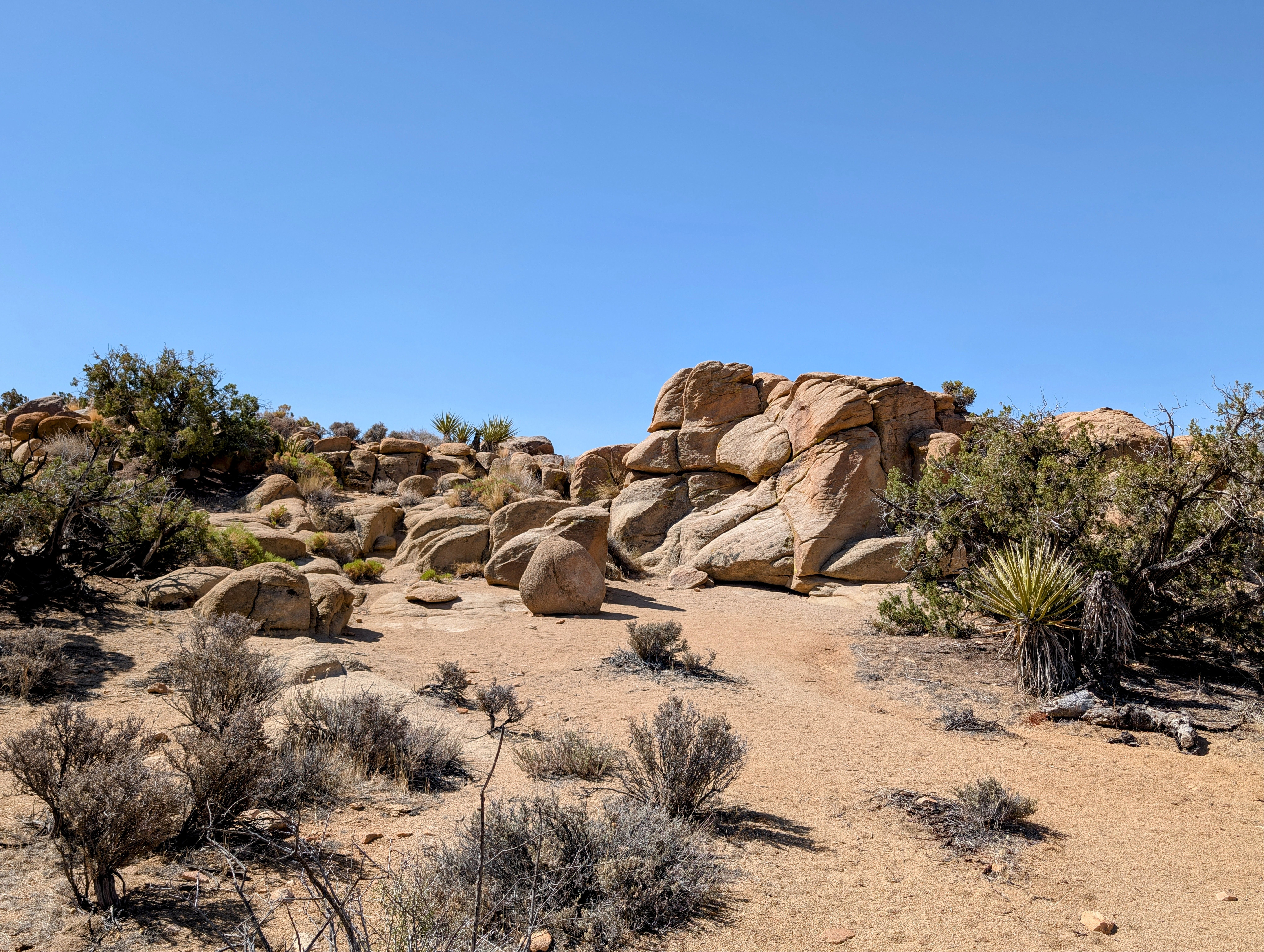 Rocky Landscape in Joshua Tree National Park · Free Stock Photo