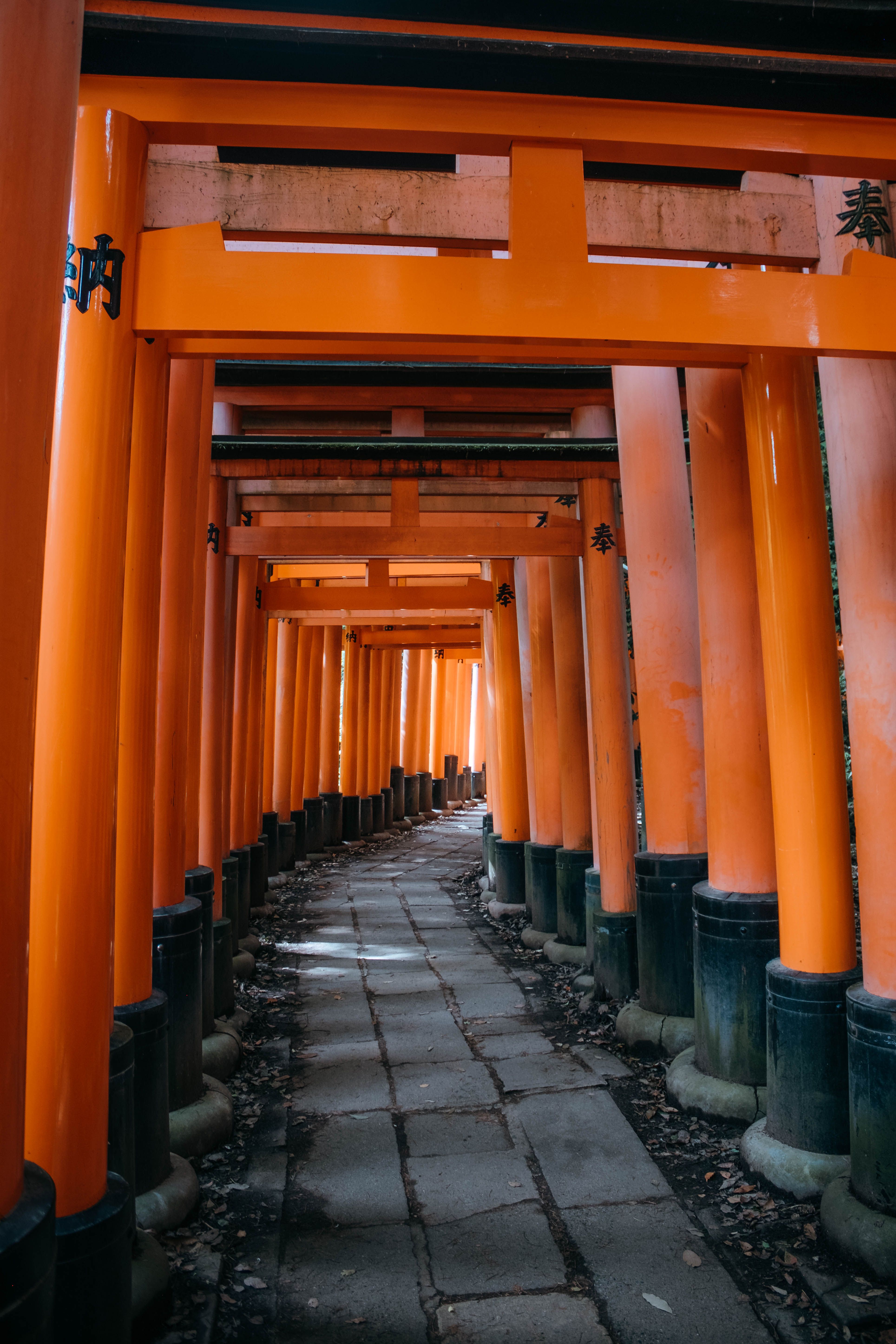 Gates Photos, Download The BEST Free Gates Stock Photos & HD Images