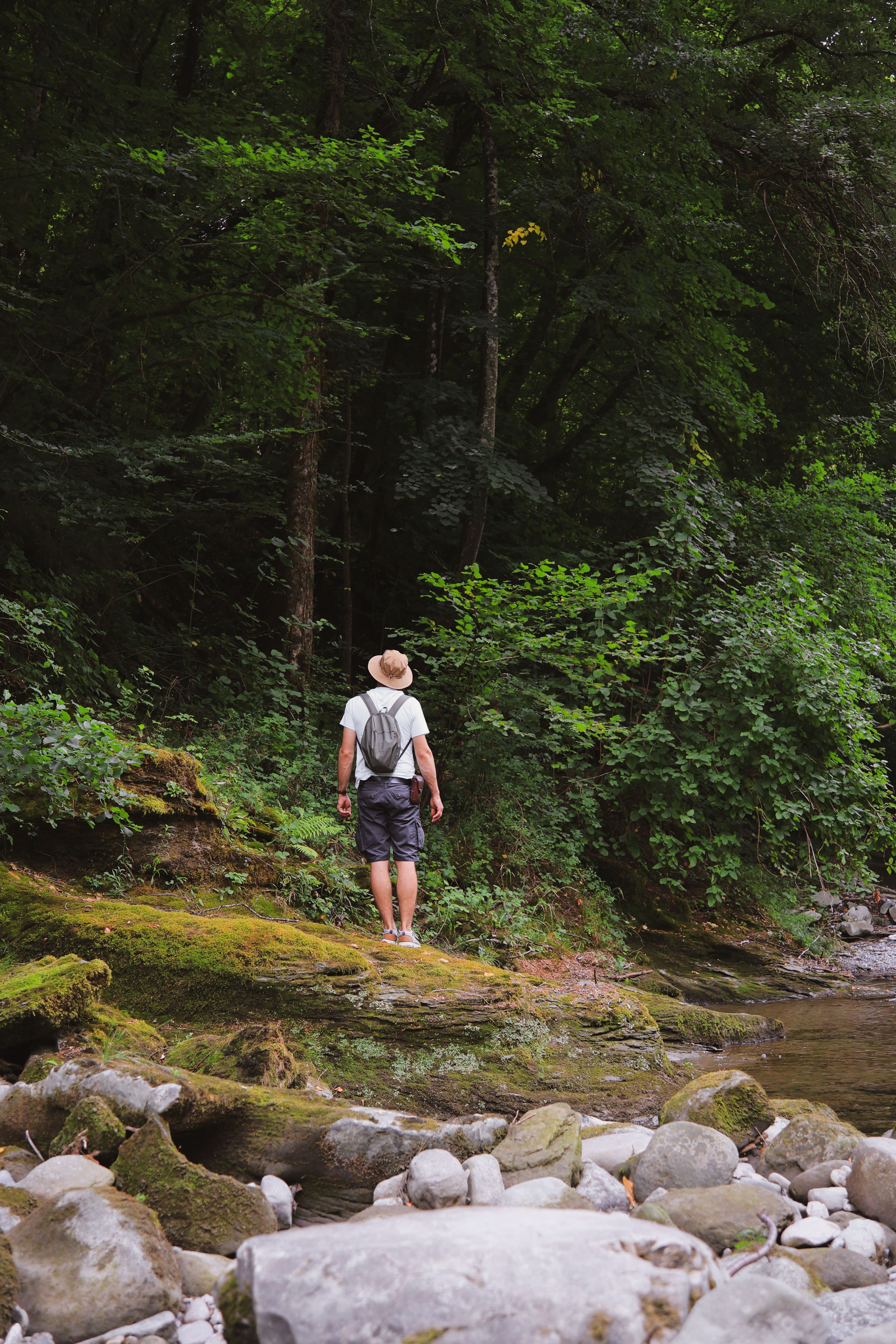 Wander Photos, Download The BEST Free Wander Stock Photos & HD Images