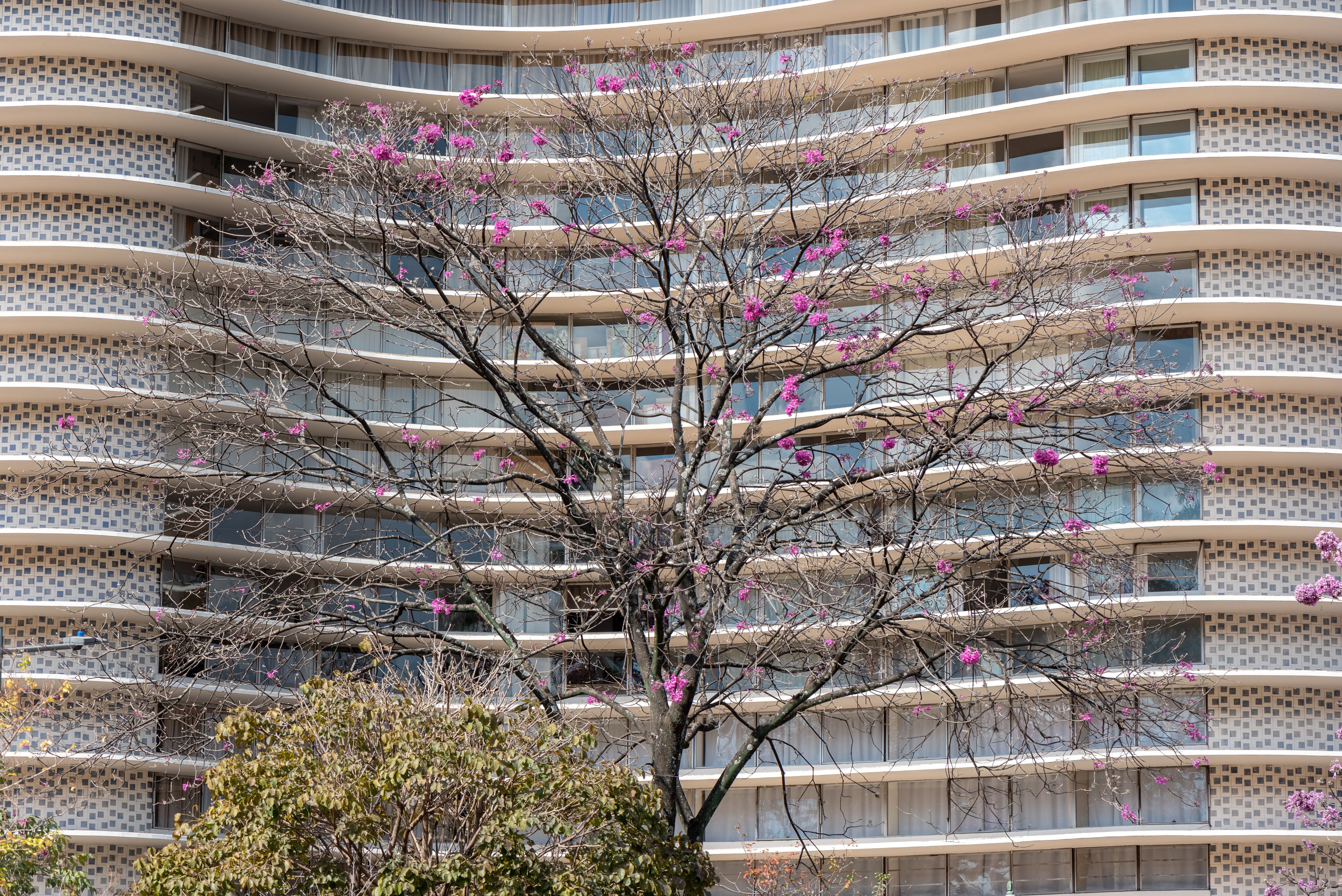 Metropolitan Scenery Photos, Download The BEST Free Metropolitan ...