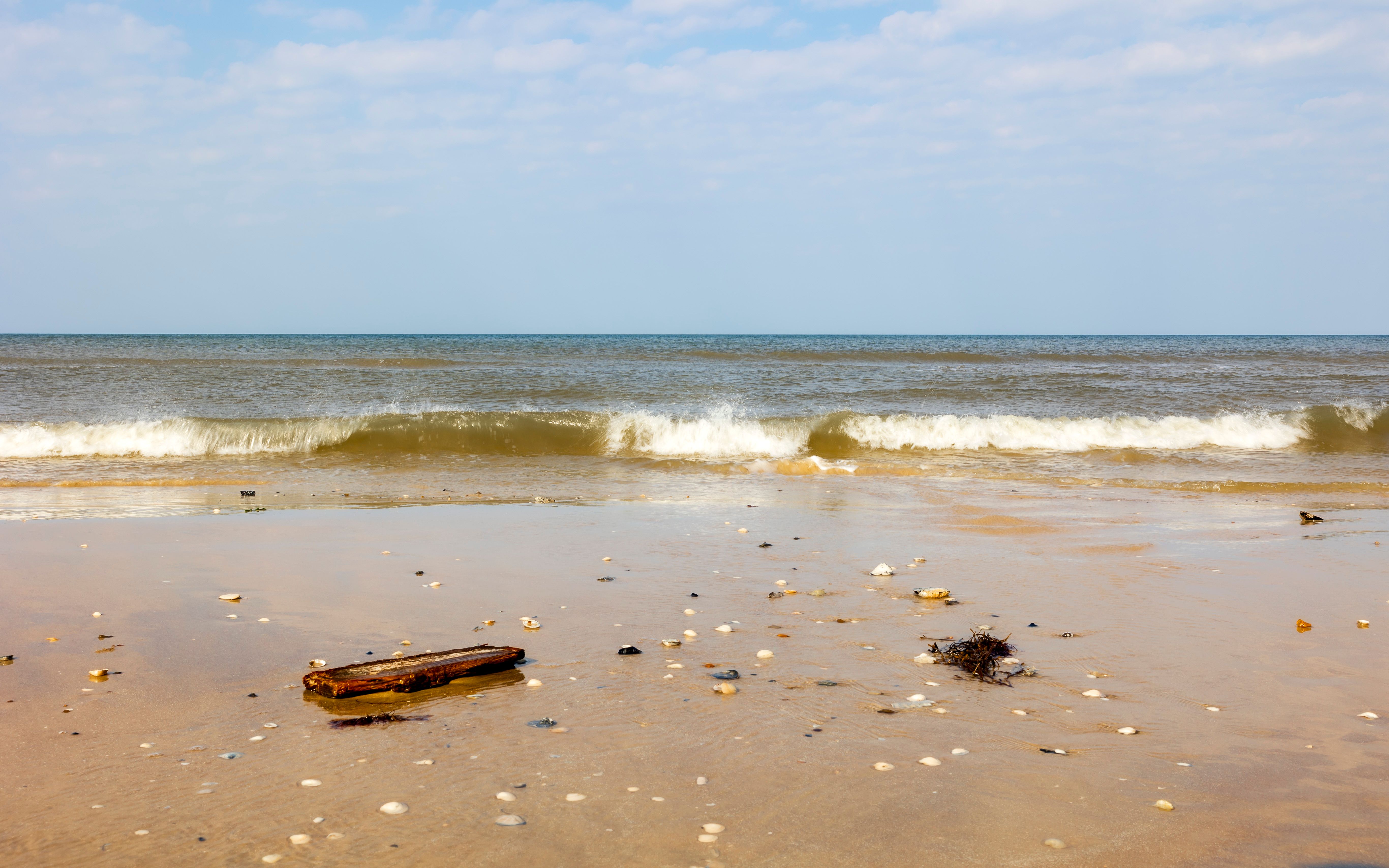 Empty Beach Photos, Download The BEST Free Empty Beach Stock Photos ...