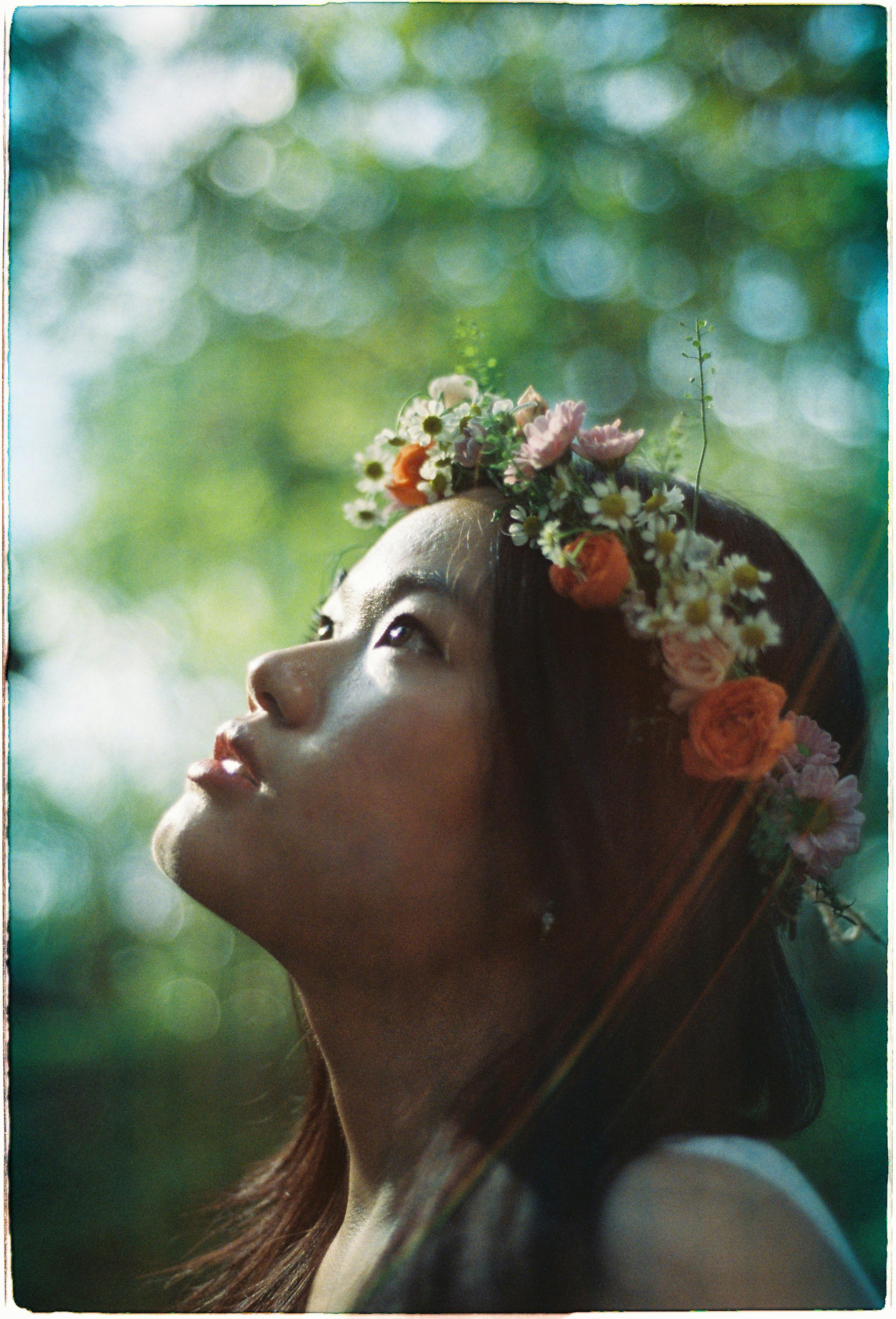 Enchanted Photos, Download The BEST Free Enchanted Stock Photos & HD Images