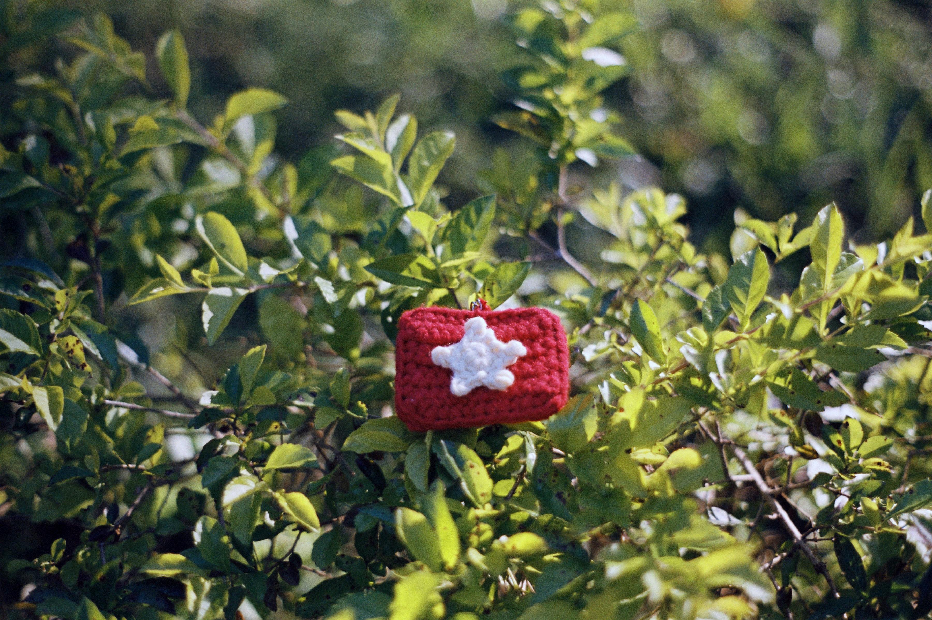 We+Are+Little+Stars+Collection Photos, Download The BEST Free We+Are ...