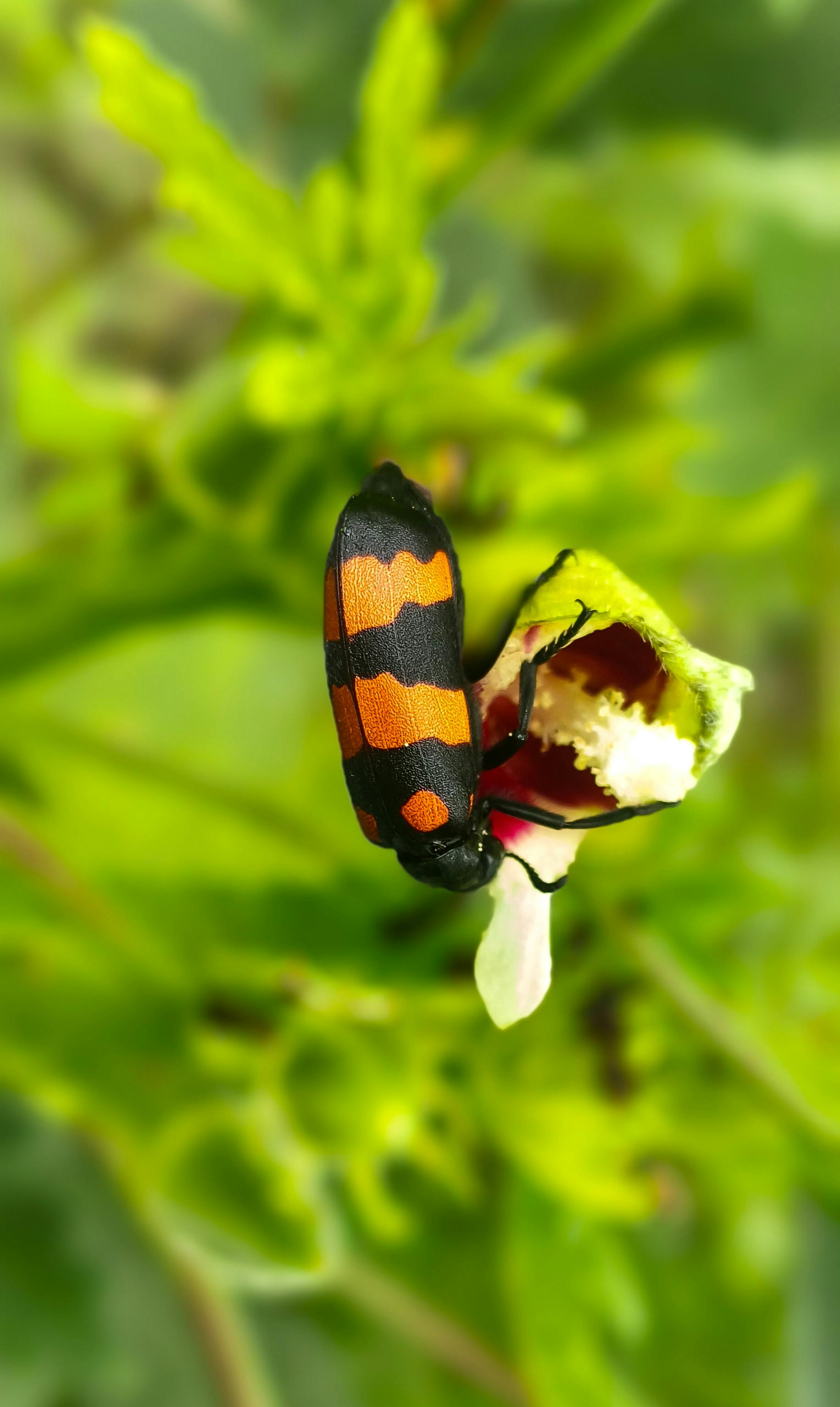 Prison+Cell+Background Photos, Download The BEST Free Prison+Cell ...