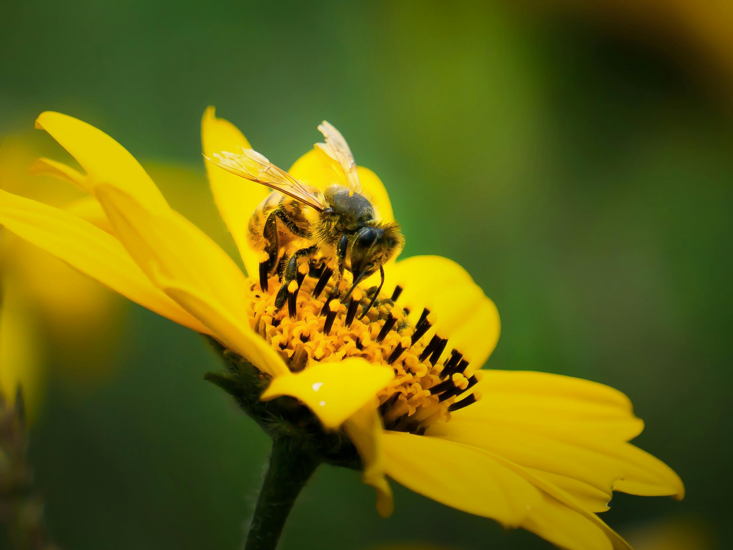 Prison+Cell+Background Photos, Download The BEST Free Prison+Cell ...