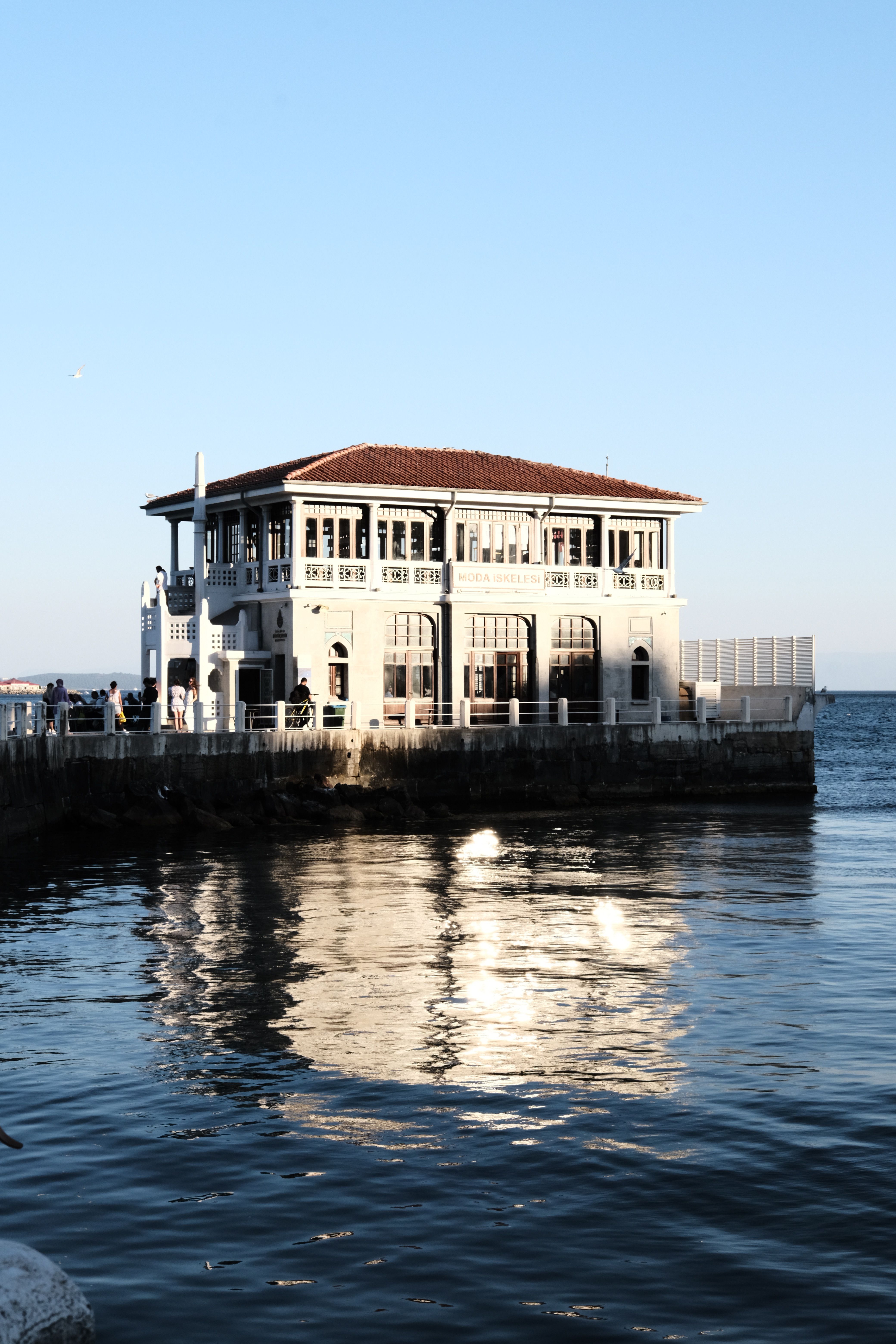 Quay Canter Photos, Download The BEST Free Quay Canter Stock Photos ...