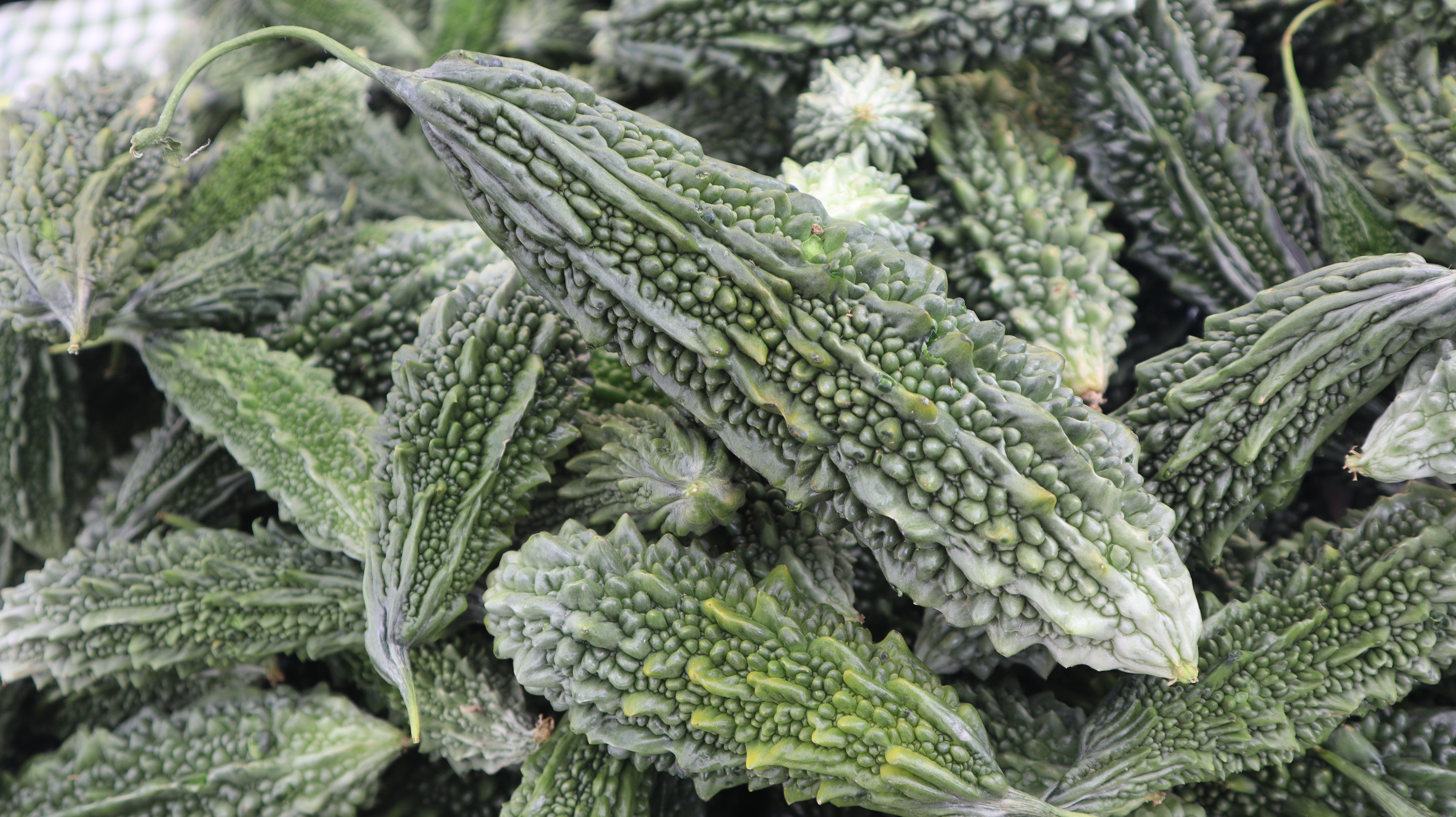 Melon Ananas Neted Photos, Download The BEST Free Melon Ananas Neted ...
