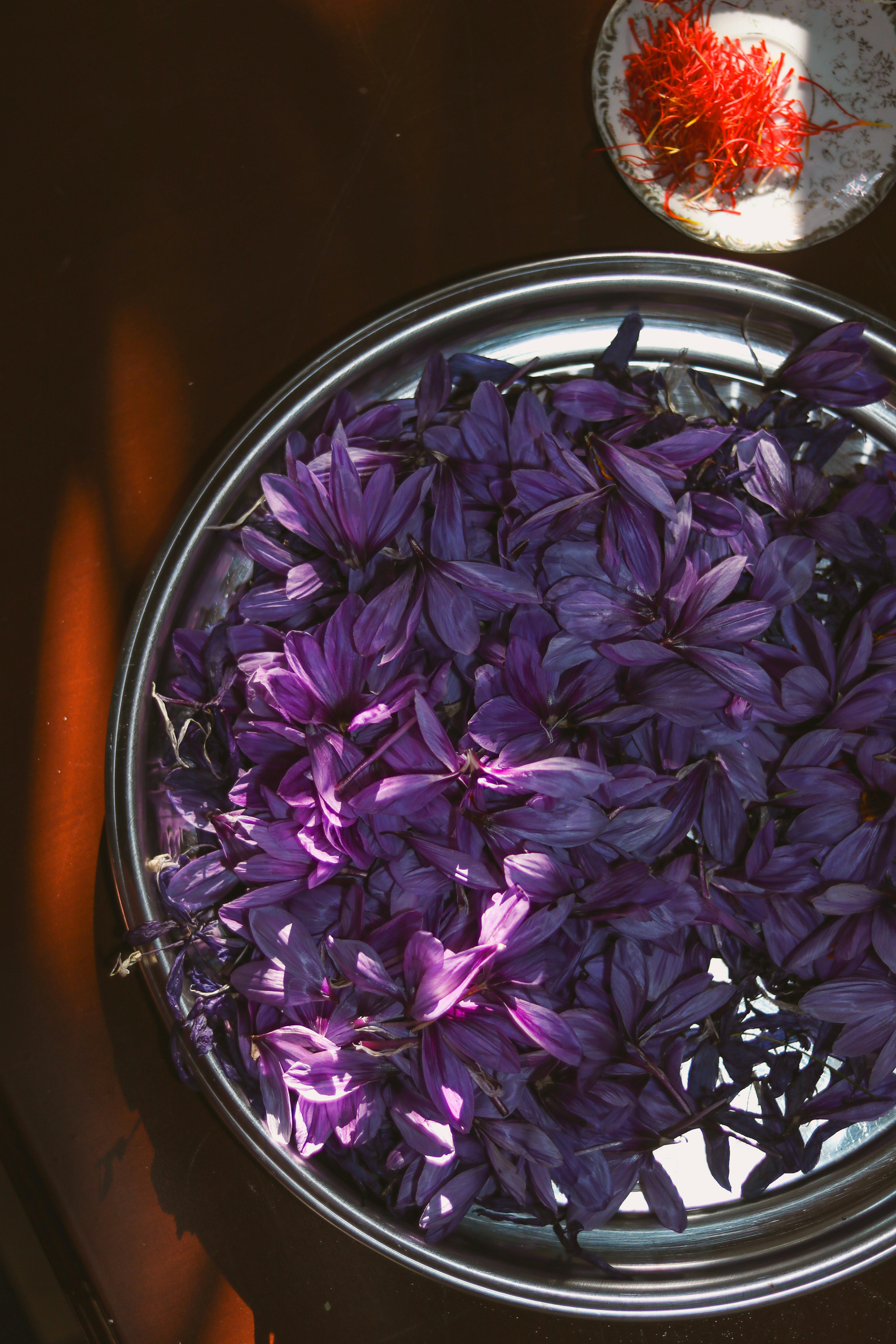 Saffron Photos, Download The BEST Free Saffron Stock Photos & HD Images