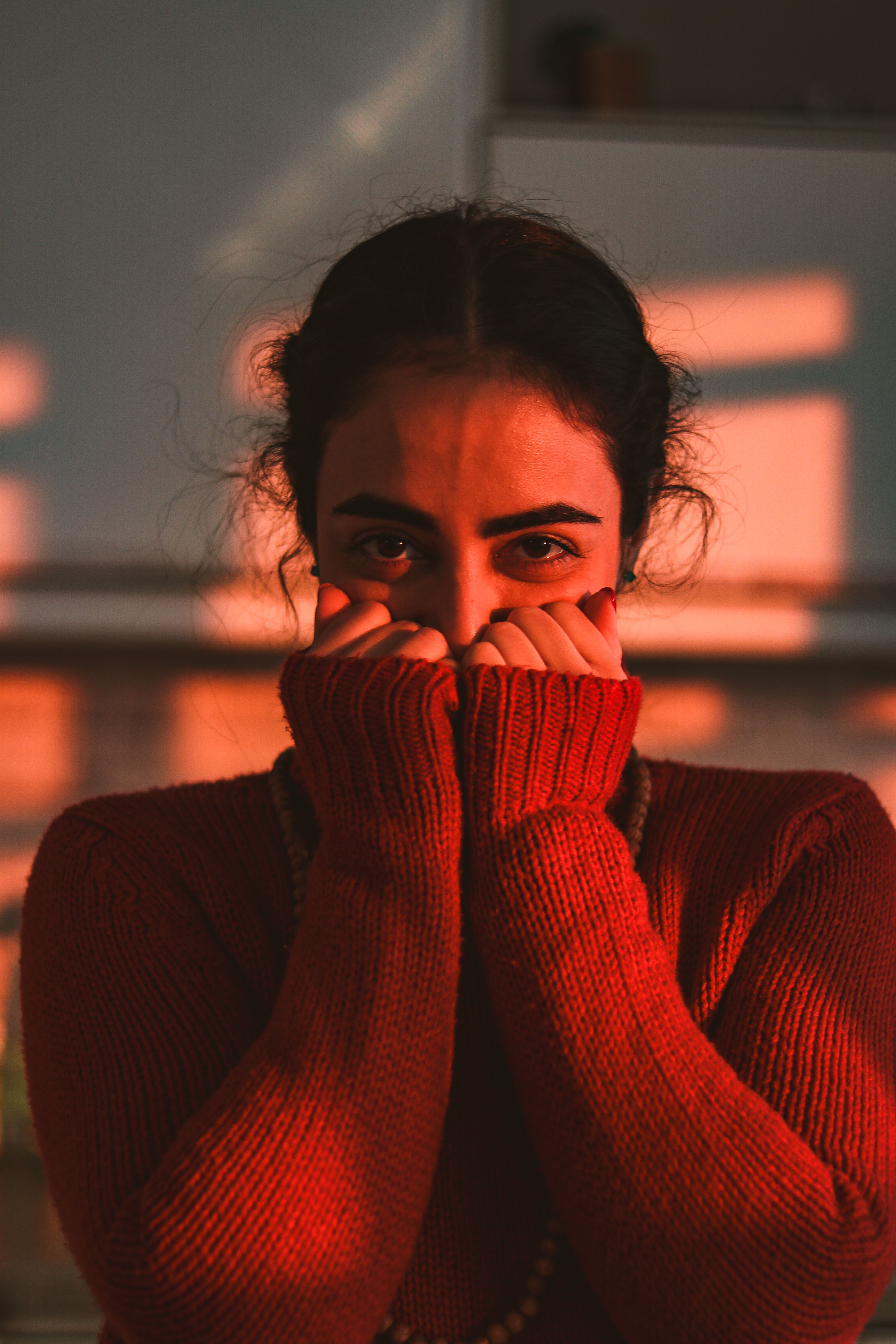 Warmth Photos, Download The BEST Free Warmth Stock Photos & HD Images