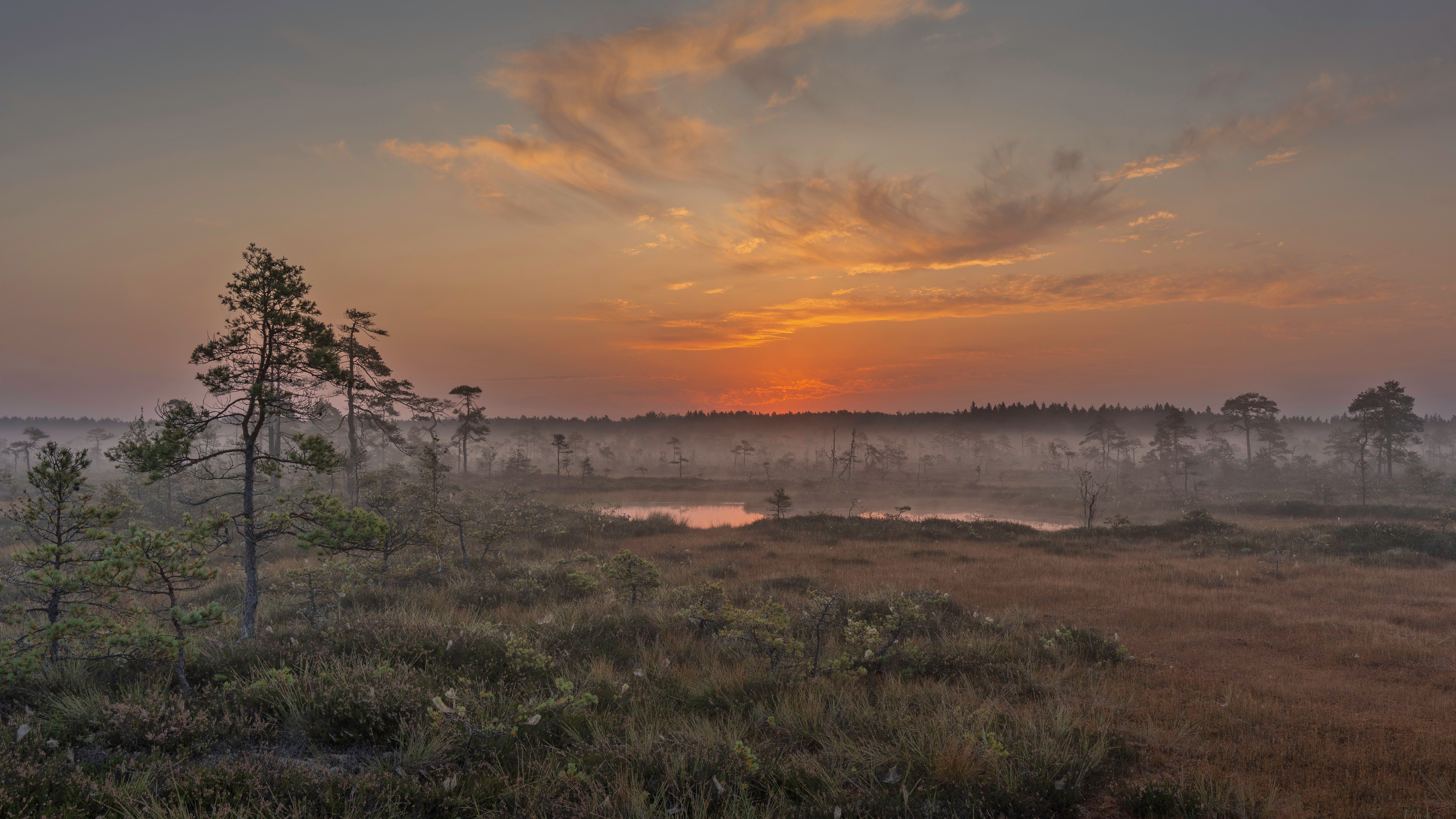 Serene Sunset Over Estonian Marshland · Free Stock Photo