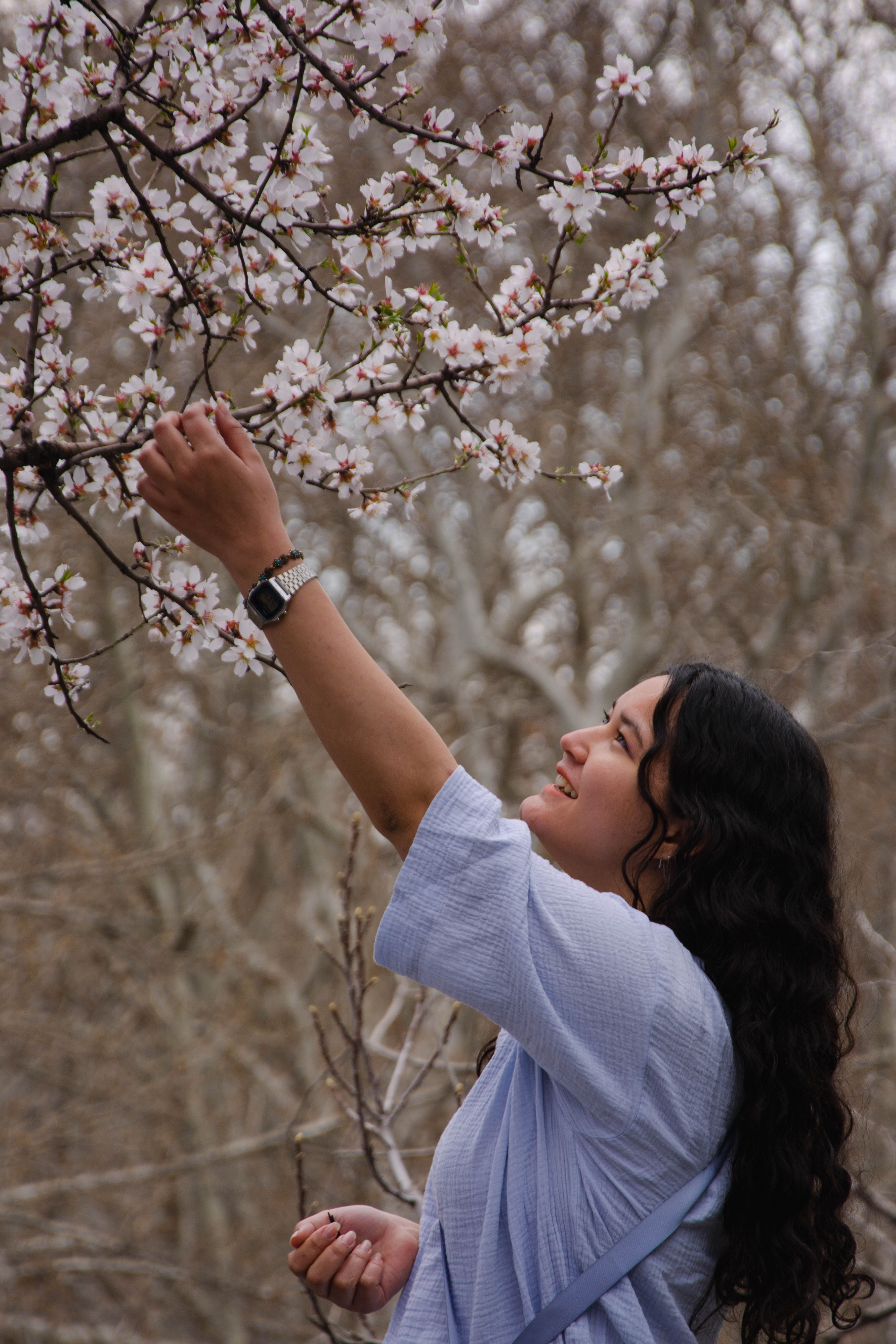 Woman Enjoying Spring Blossoms in Bloom · Free Stock Photo