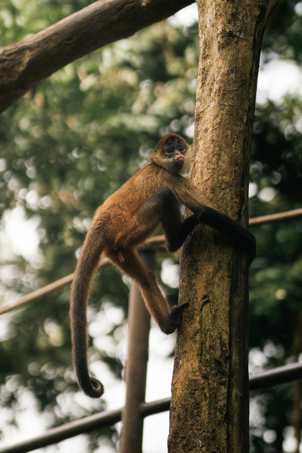 Costa Rica Photos, Download The BEST Free Costa Rica Stock Photos & HD ...