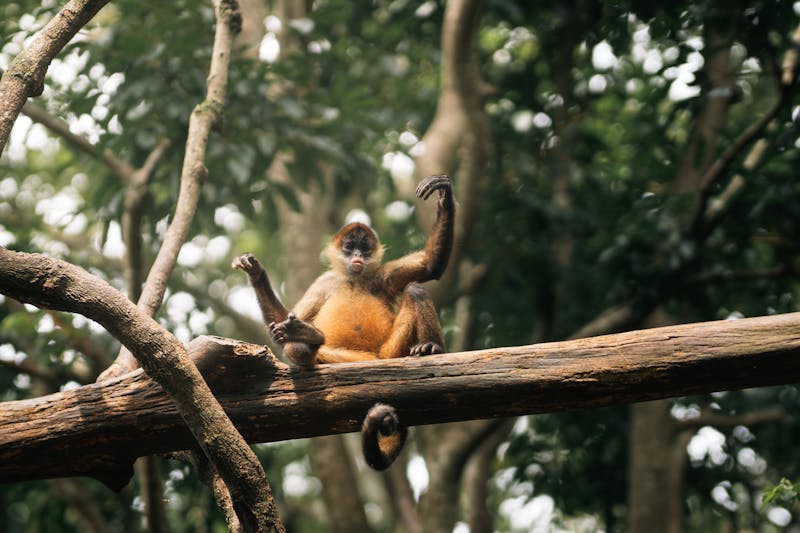 Costa Rica Photos, Download The BEST Free Costa Rica Stock Photos & HD ...