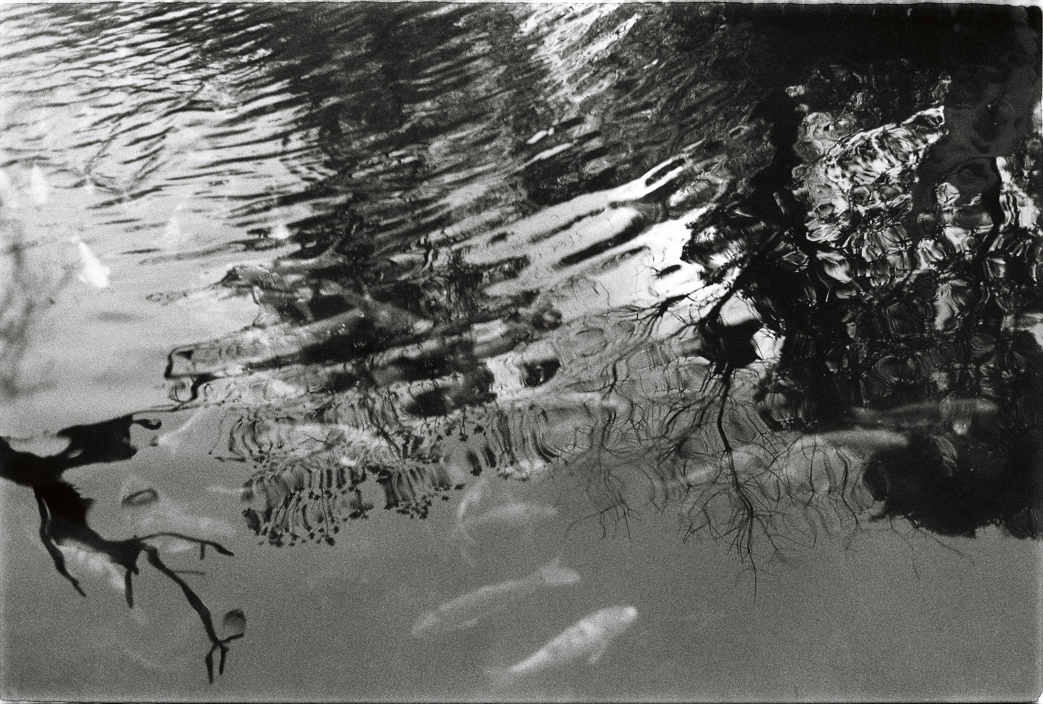 Abstract Black and White Water Reflections · Free Stock Photo