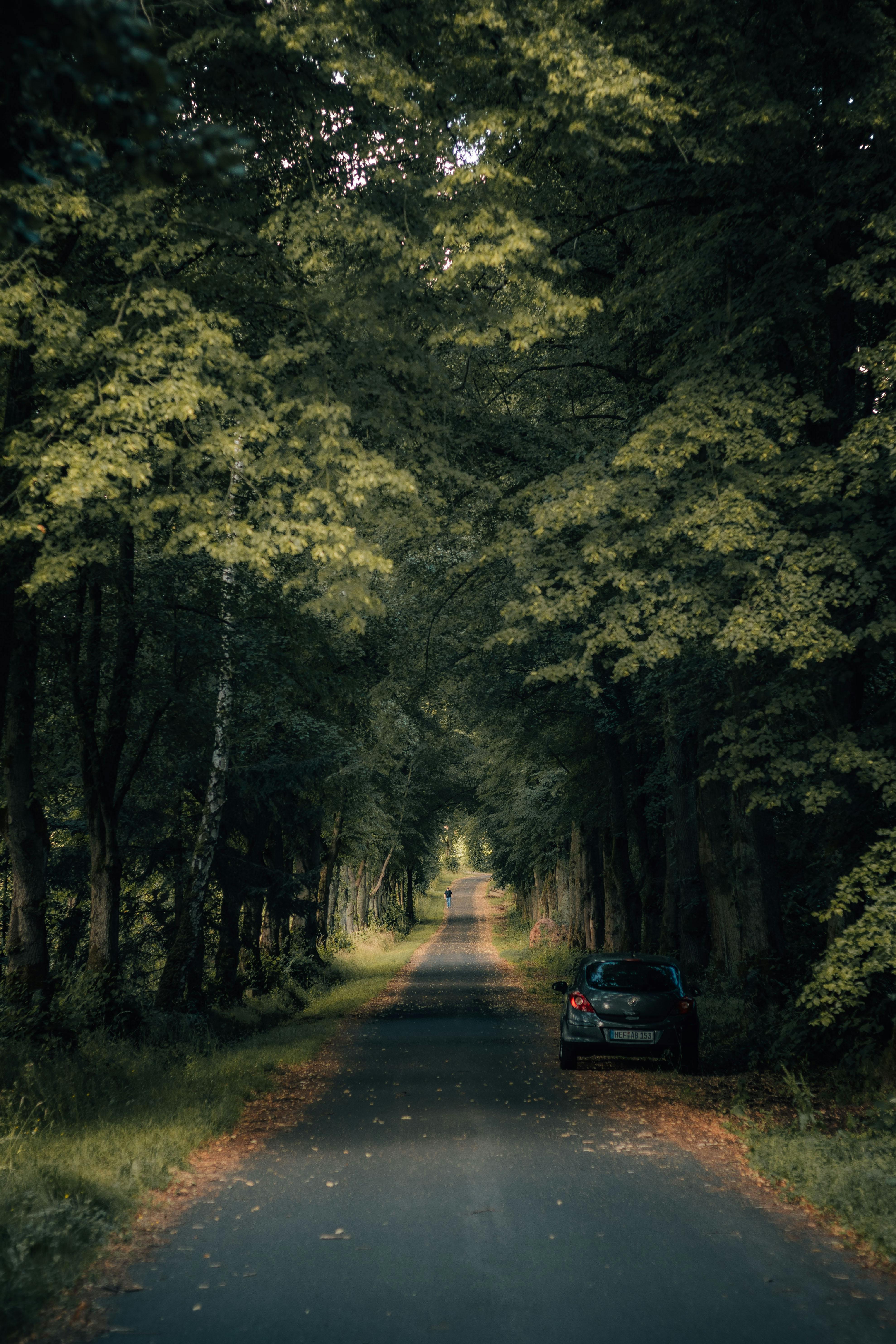 Scenic Tree-Lined Road with Parked Car · Free Stock Photo