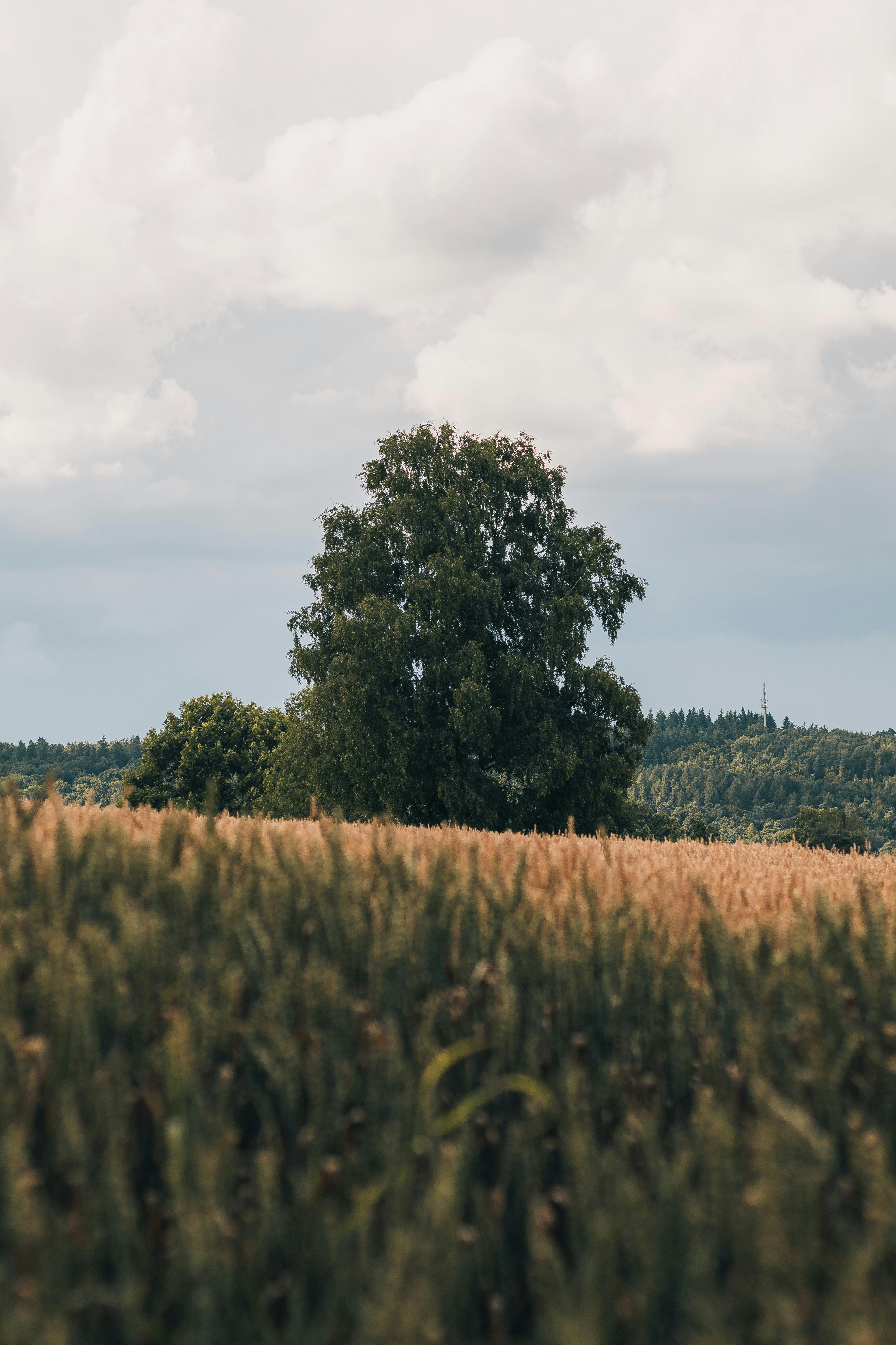 Open Source Photos, Download The BEST Free Open Source Stock Photos ...