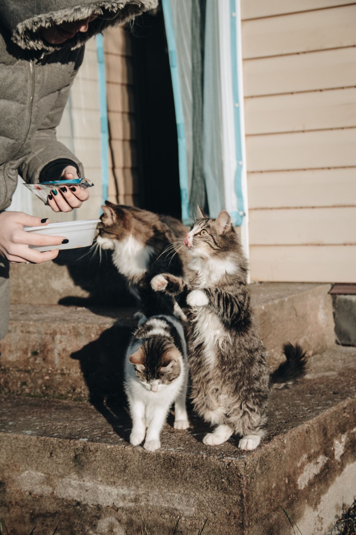 Kindness Photos, Download The BEST Free Kindness Stock Photos & HD Images