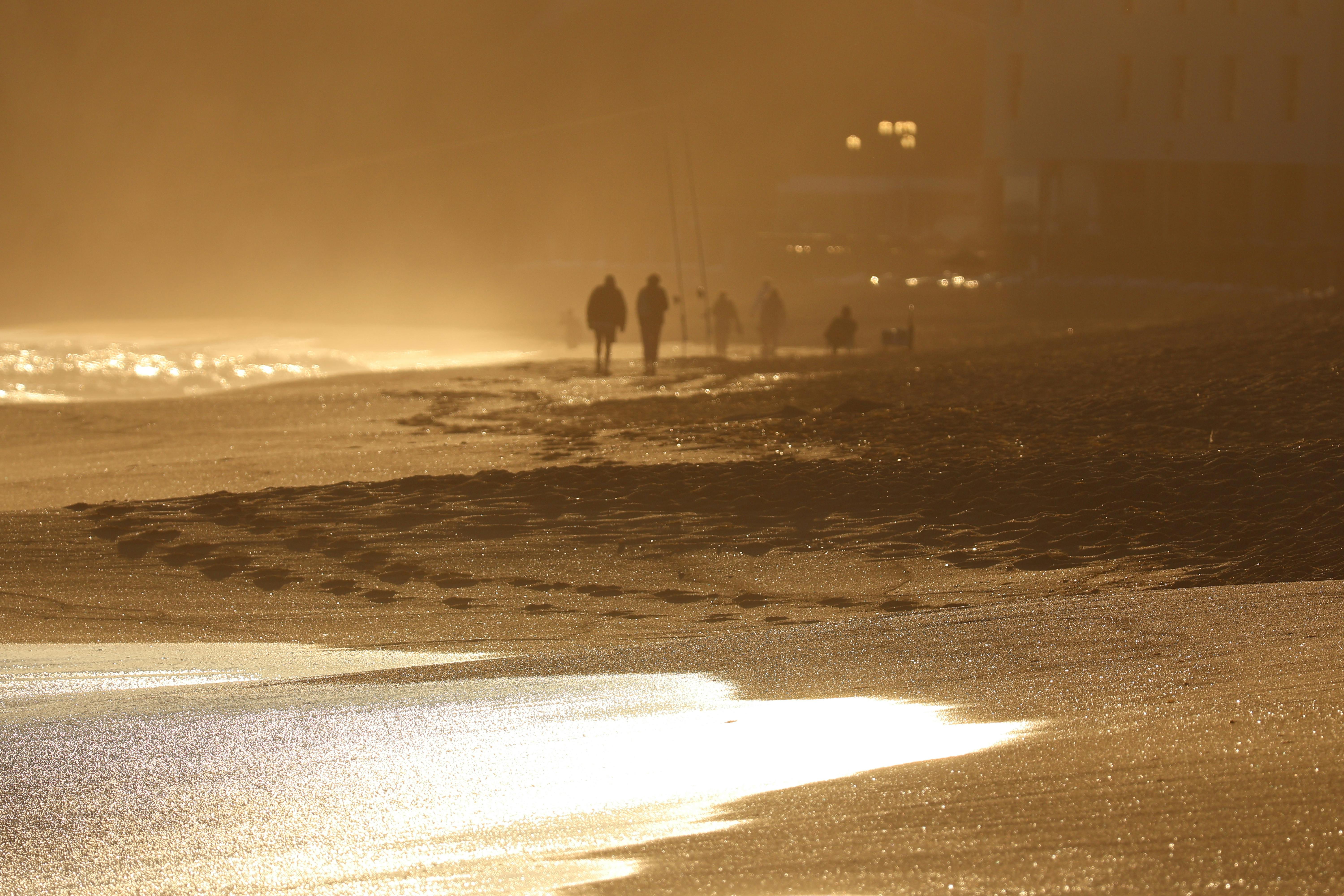 Walking On Sandy Photos, Download The BEST Free Walking On Sandy Stock ...