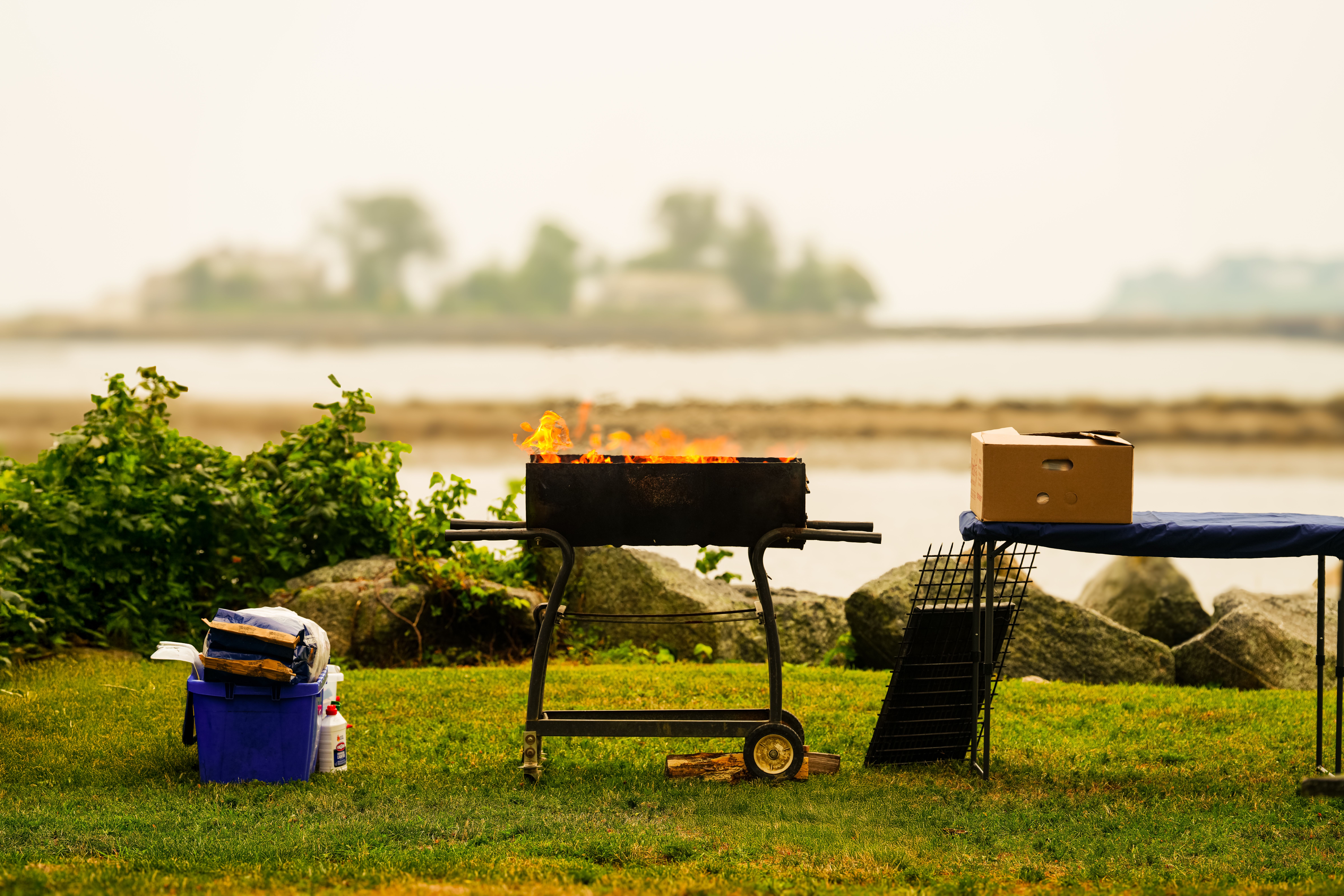 Outdoor Barbeque at Cove Island Park · Free Stock Photo