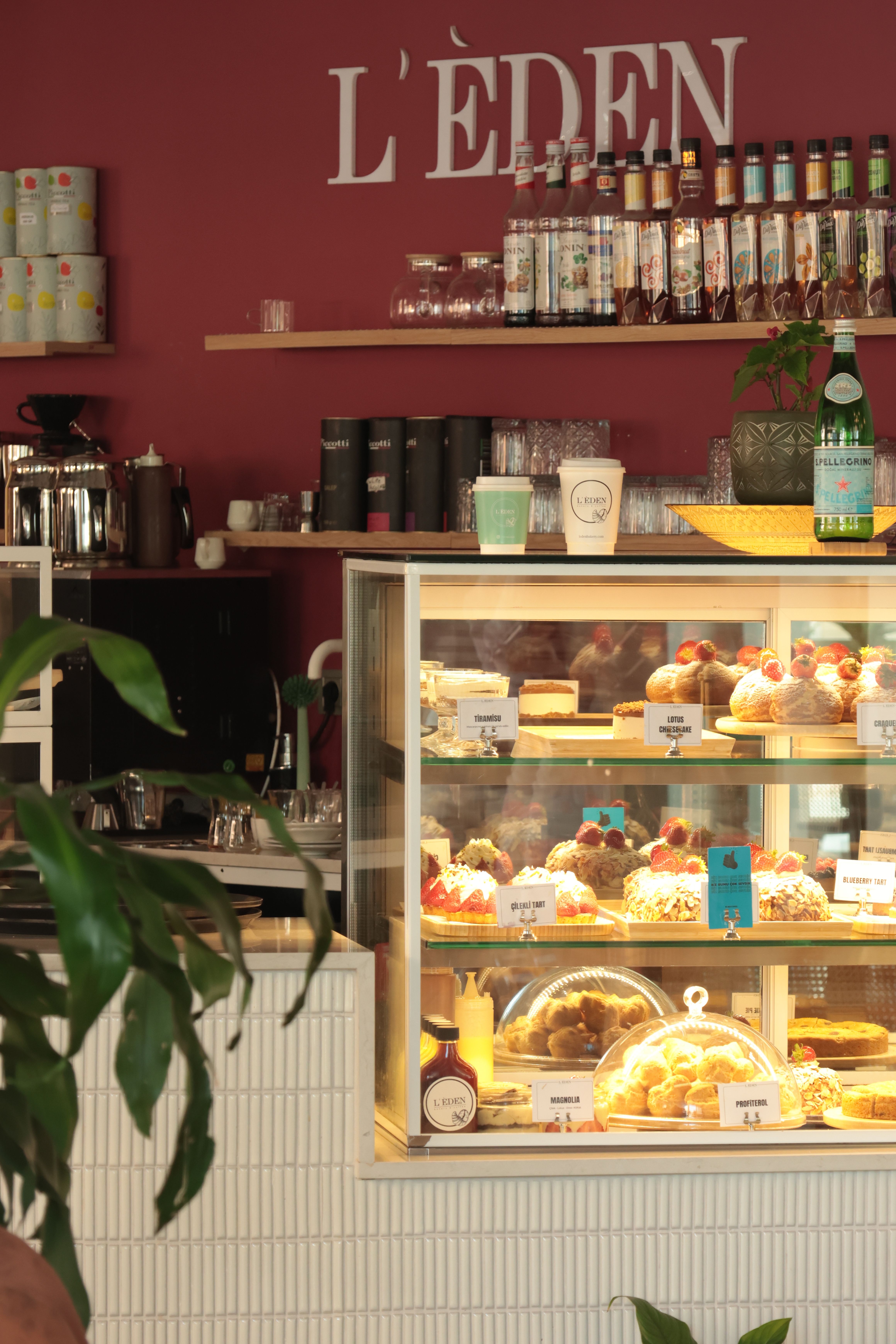 Cozy Cafe Interior with Pastry Display · Free Stock Photo