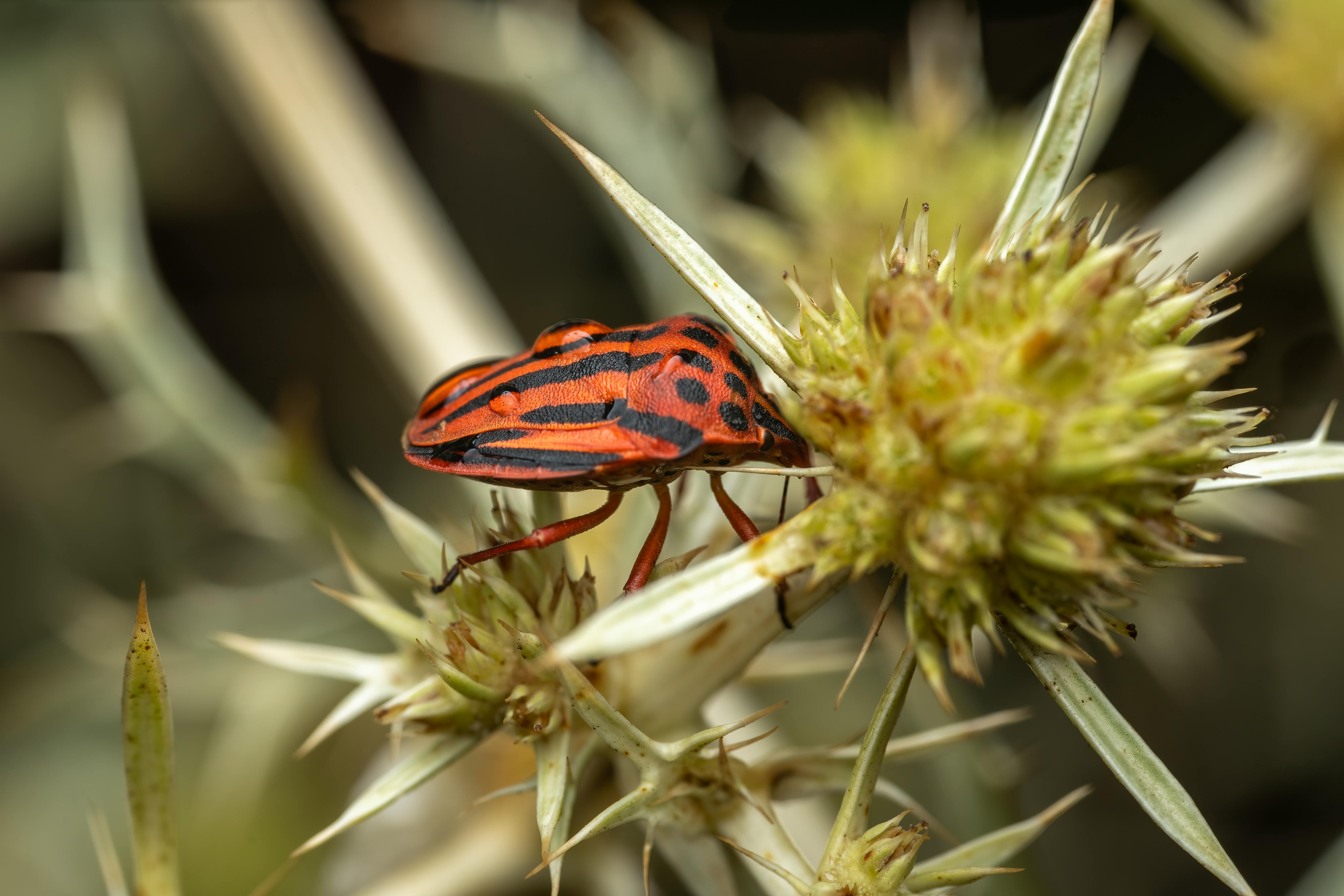 Black Environmental Engineers Photos, Download The BEST Free Black ...