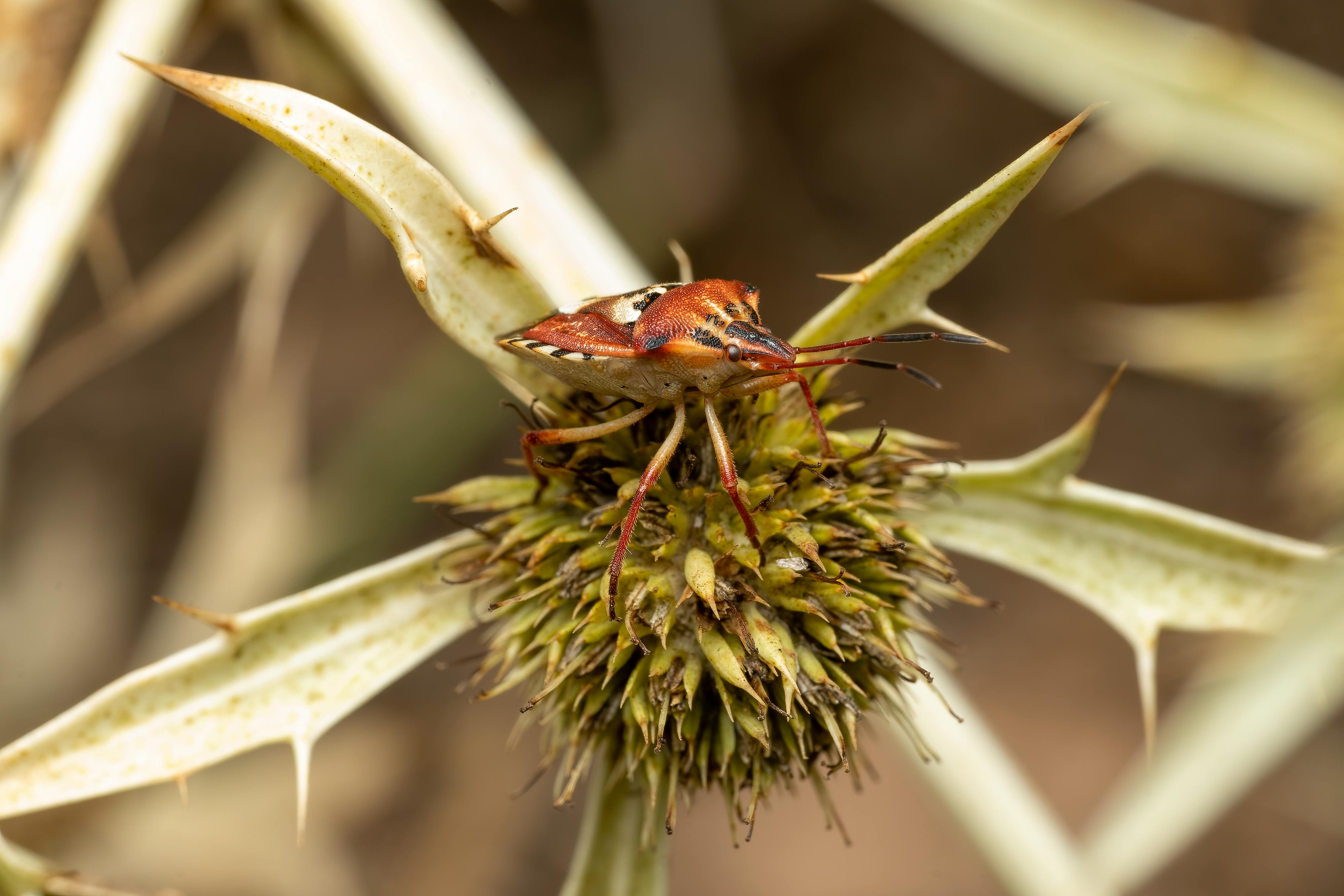 Tuff Wallpaper Photos, Download The BEST Free Tuff Wallpaper Stock ...