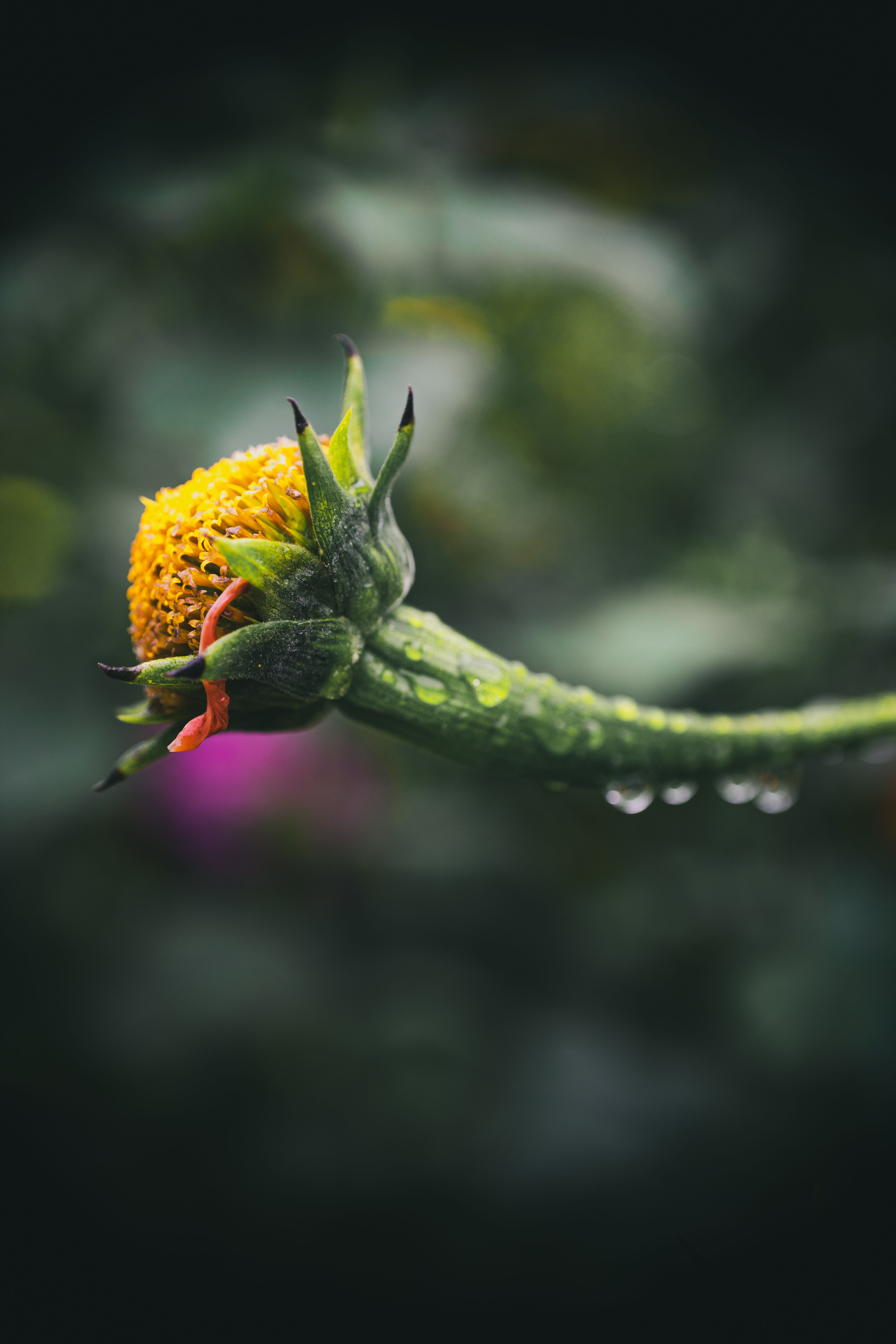 Slog Rain Photos, Download The BEST Free Slog Rain Stock Photos & HD Images