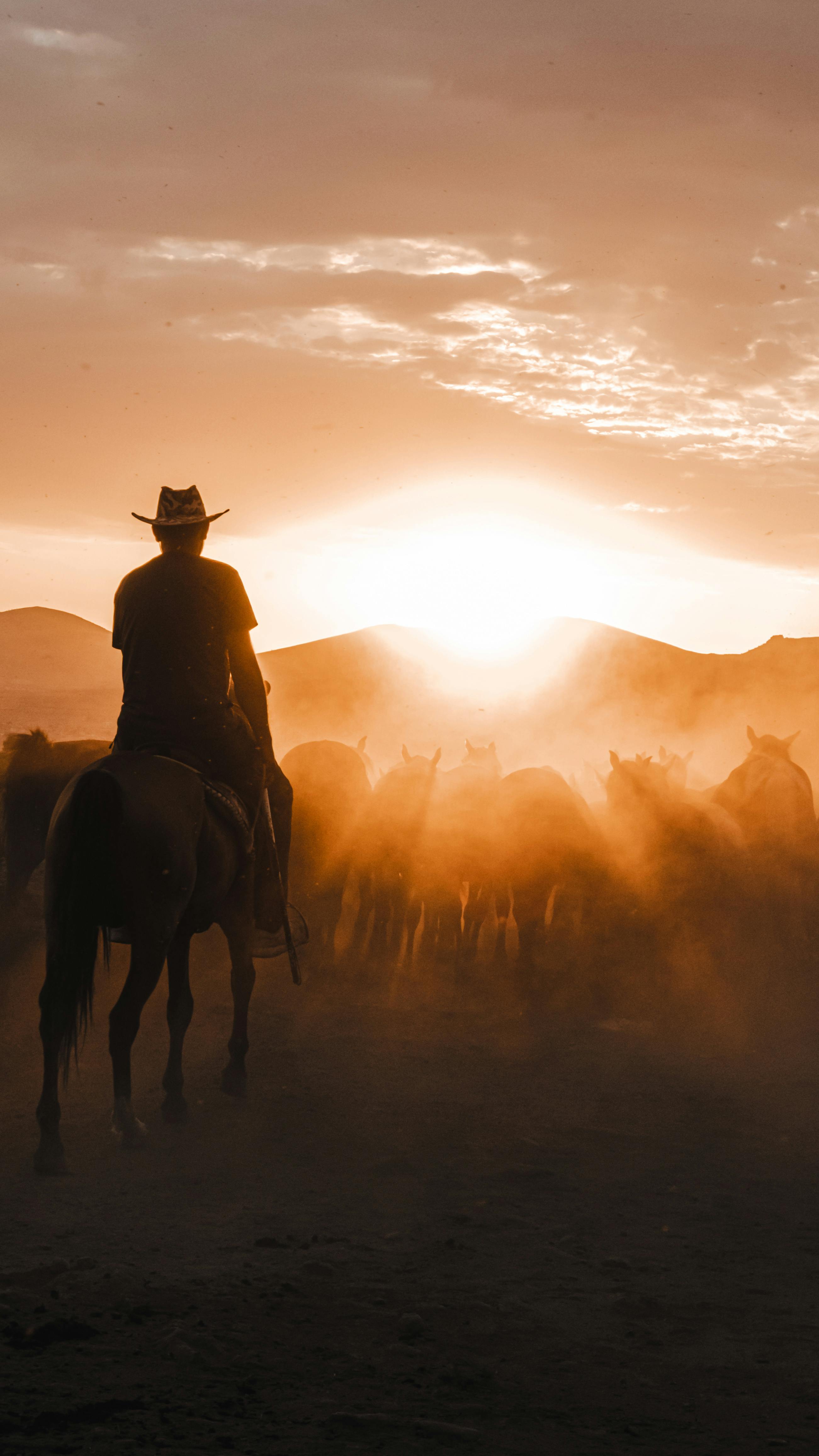 Cowboy Sunset Photos, Download The BEST Free Cowboy Sunset Stock Photos ...