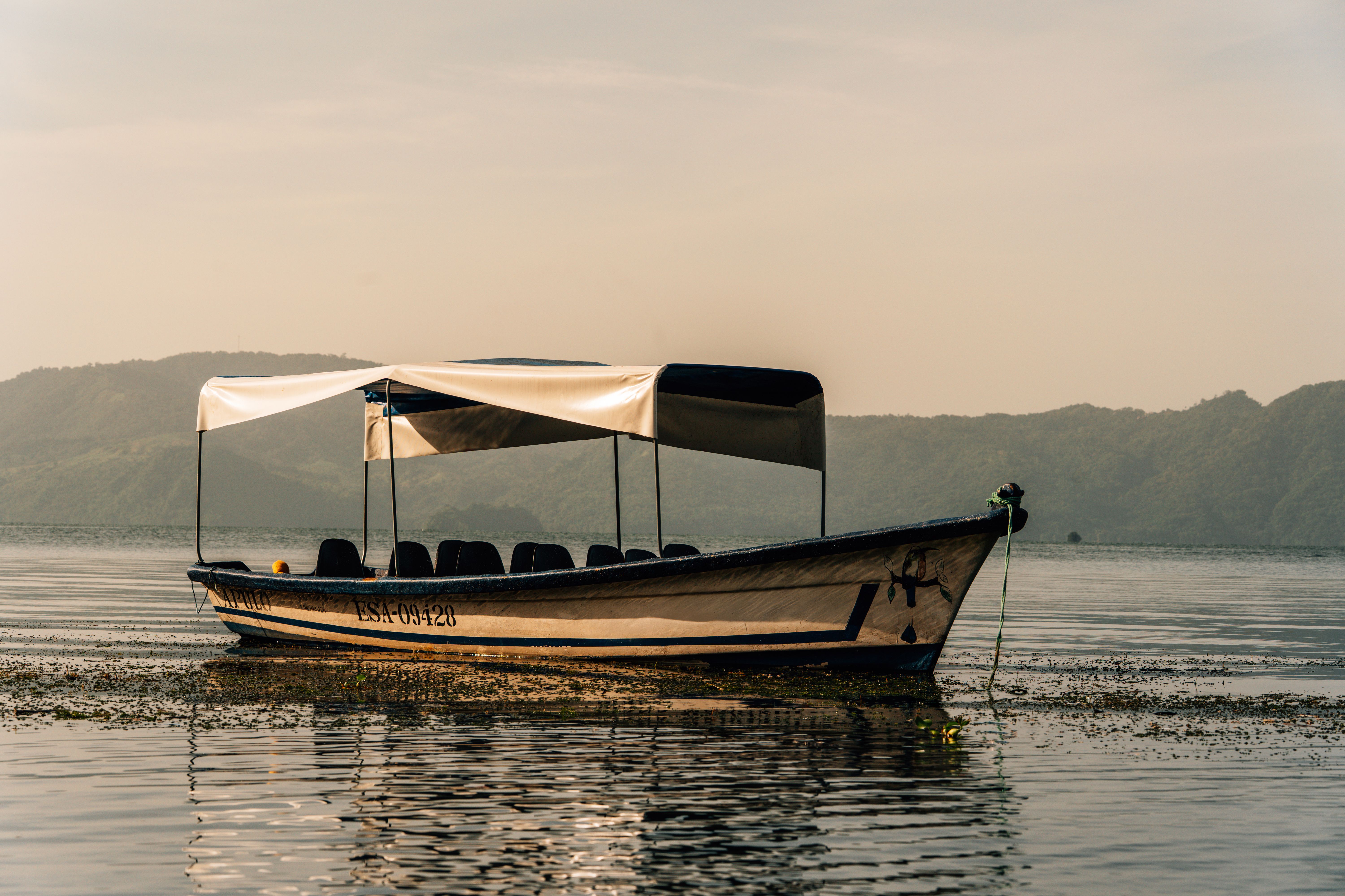 Roofed Wooden Boat with Paddle · Free Stock Photo