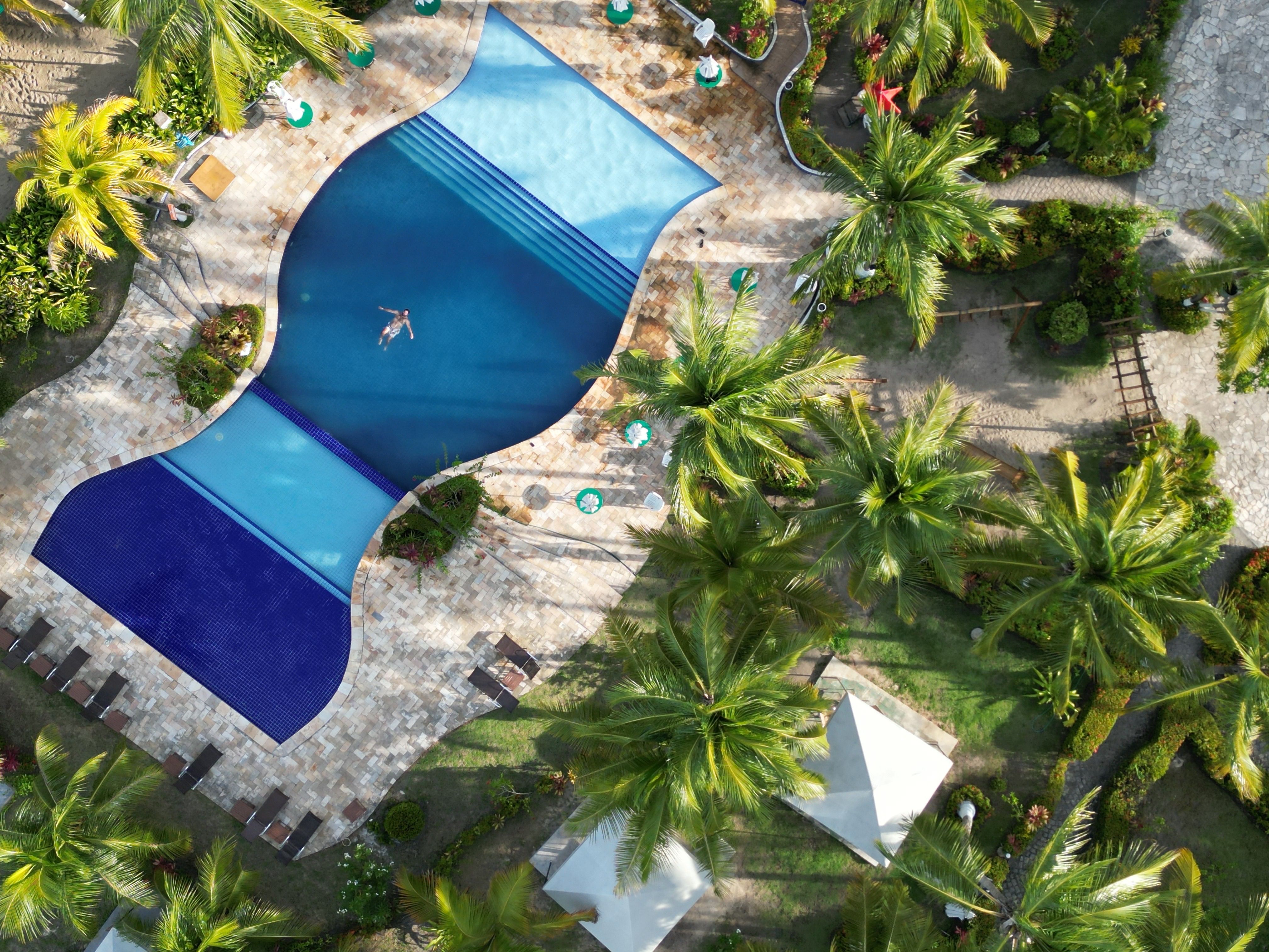Aerial View of Tropical Resort Pool Surrounded by Palms · Free Stock Photo