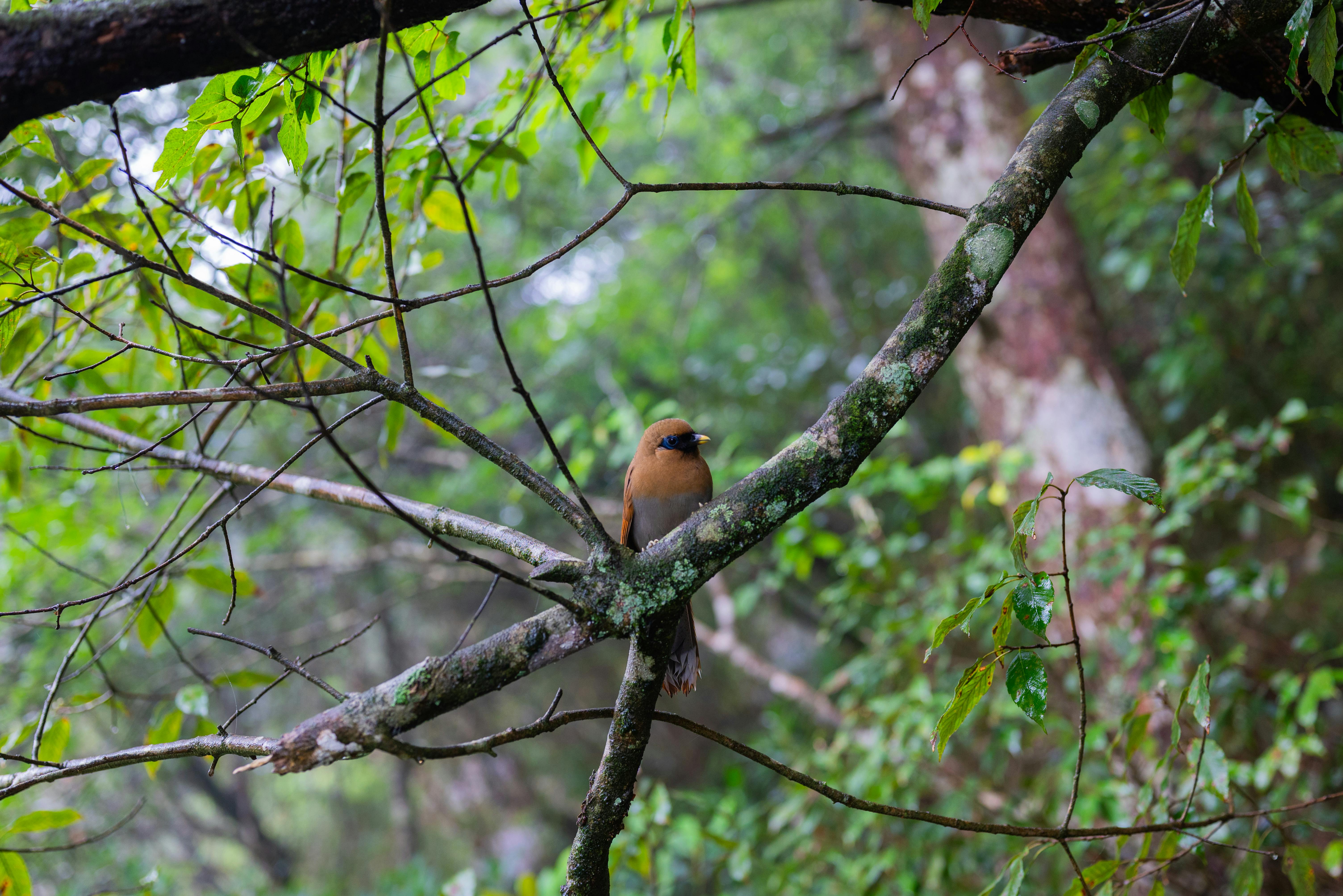 Edita la foto en Canva