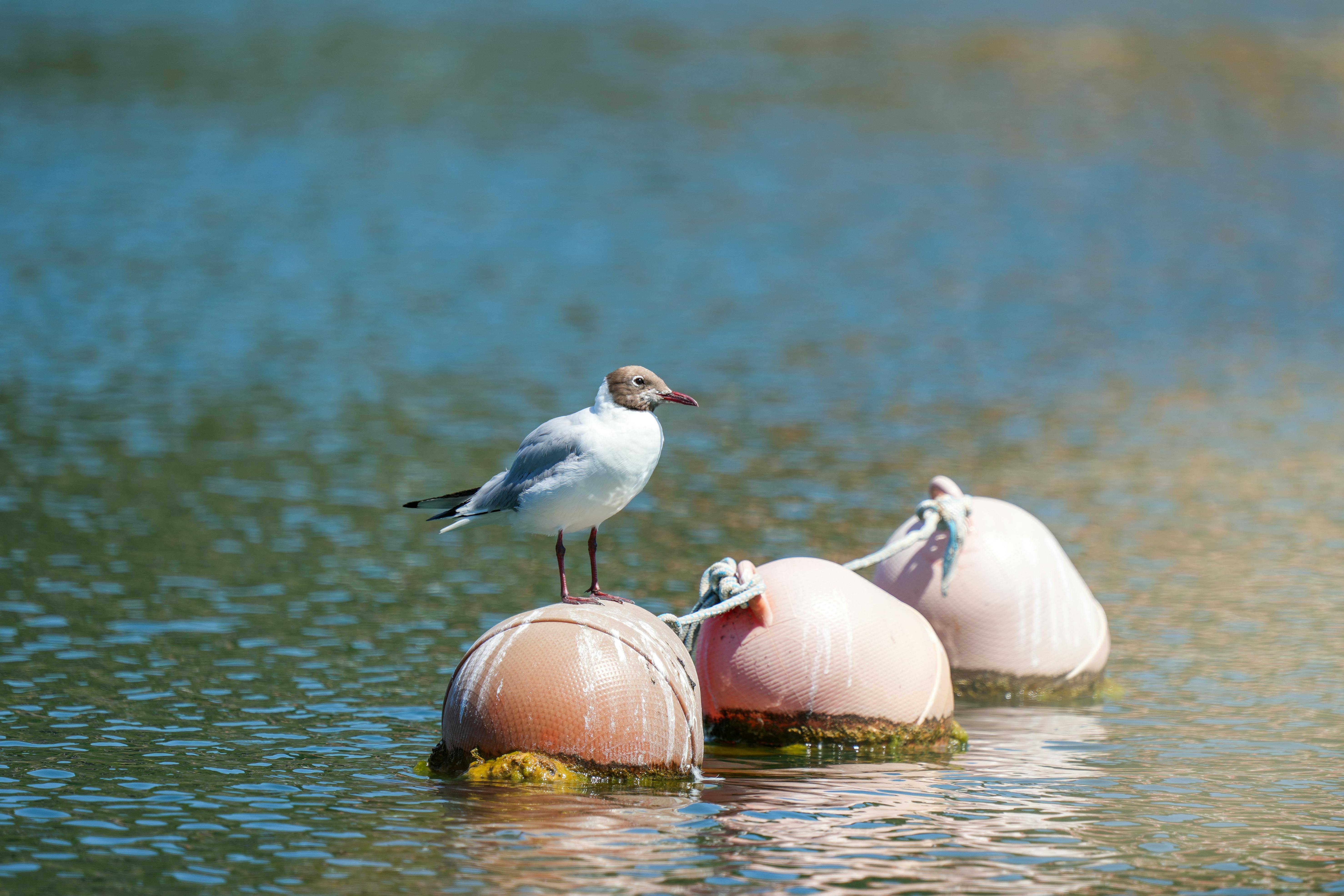 Life Lessons And Reflections Photos, Download The BEST Free Life ...